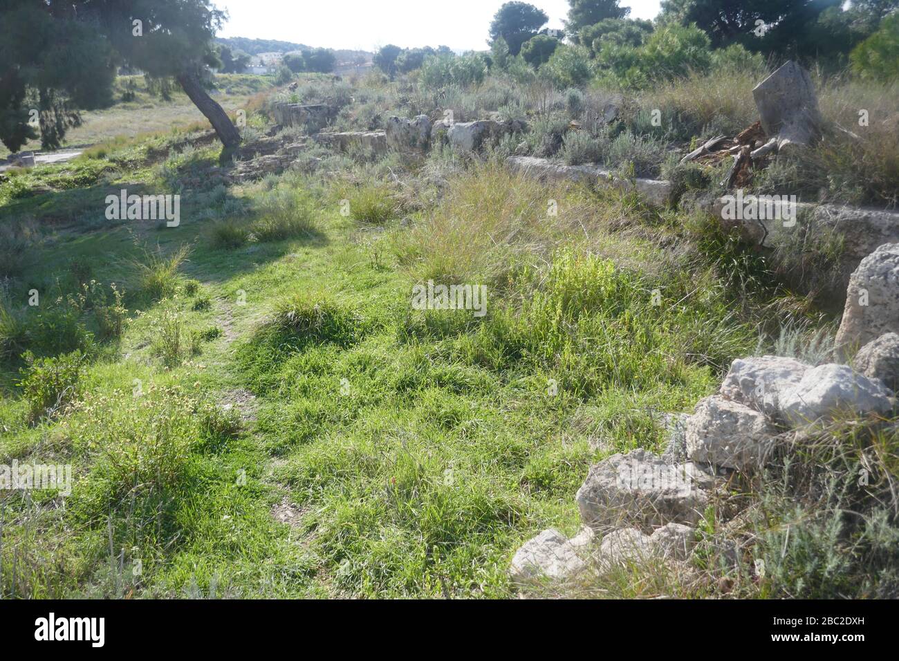 Isthmia museum hi-res stock photography and images - Alamy