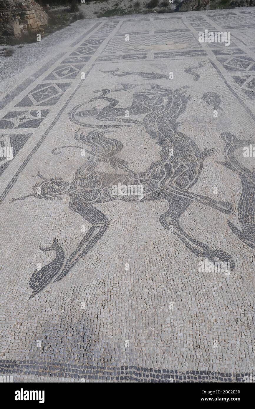 Isthmia museum hi-res stock photography and images - Alamy