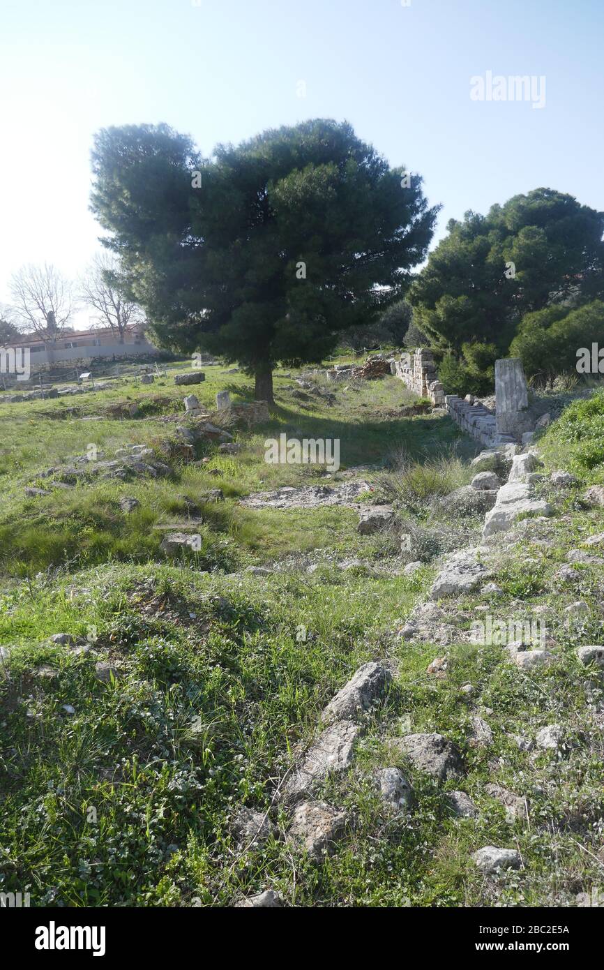 Isthmia Archaeological Site Stock Photo - Alamy