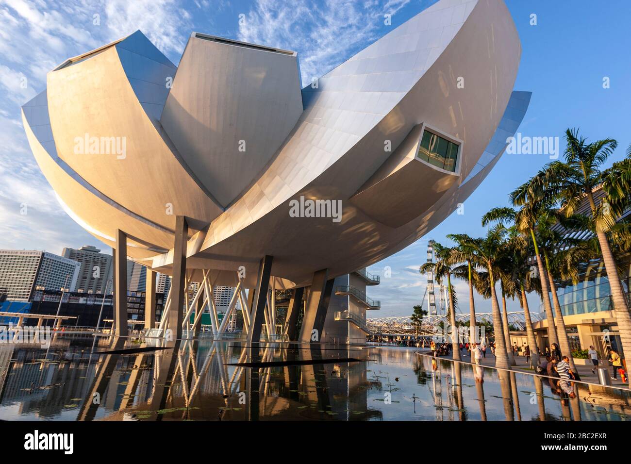 The Lotus Flower Shaped ArtScience Museum in Marina Bay Sands ...