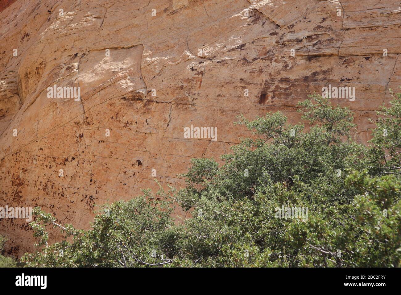 Red rocks ridge hi-res stock photography and images - Alamy