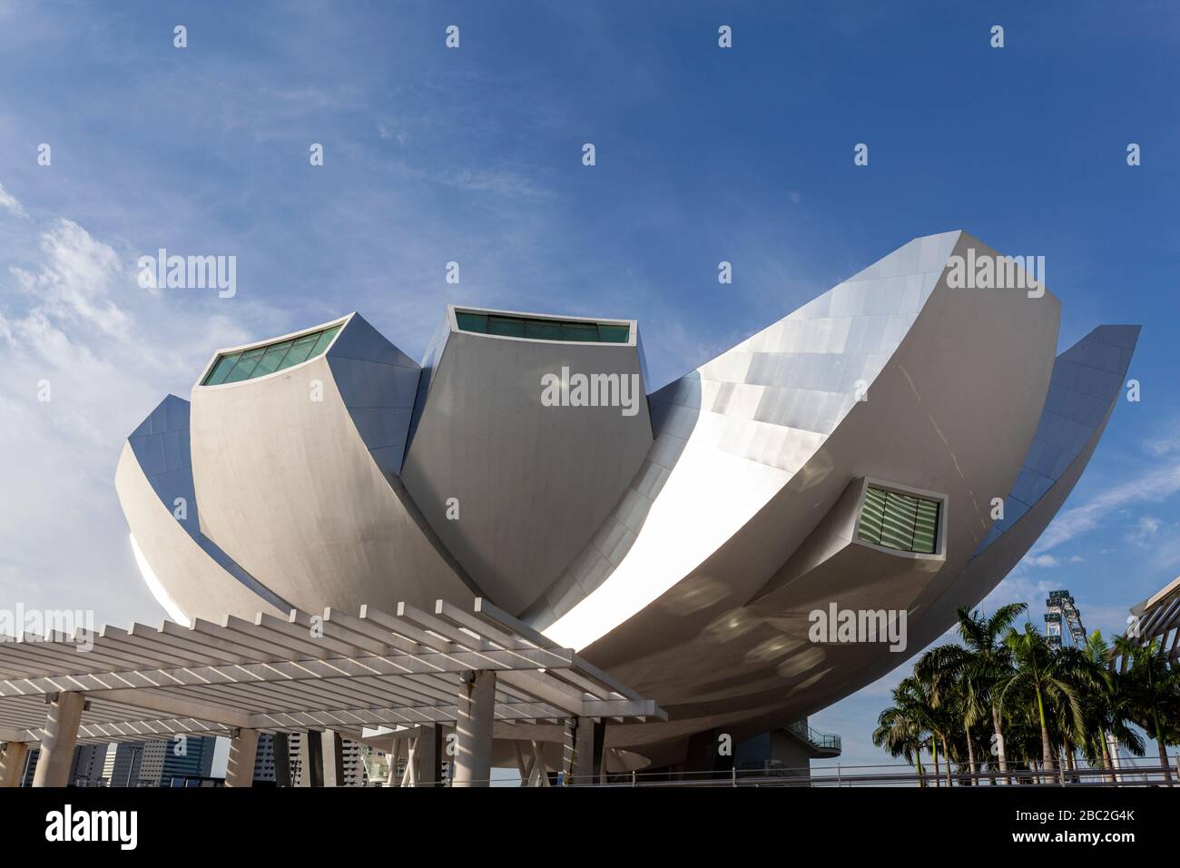 The Lotus Flower Shaped ArtScience Museum in Marina Bay Sands ...