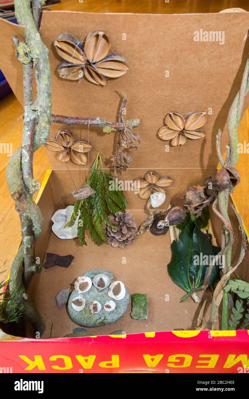 Making geography school project hi-res stock photography and images - Alamy