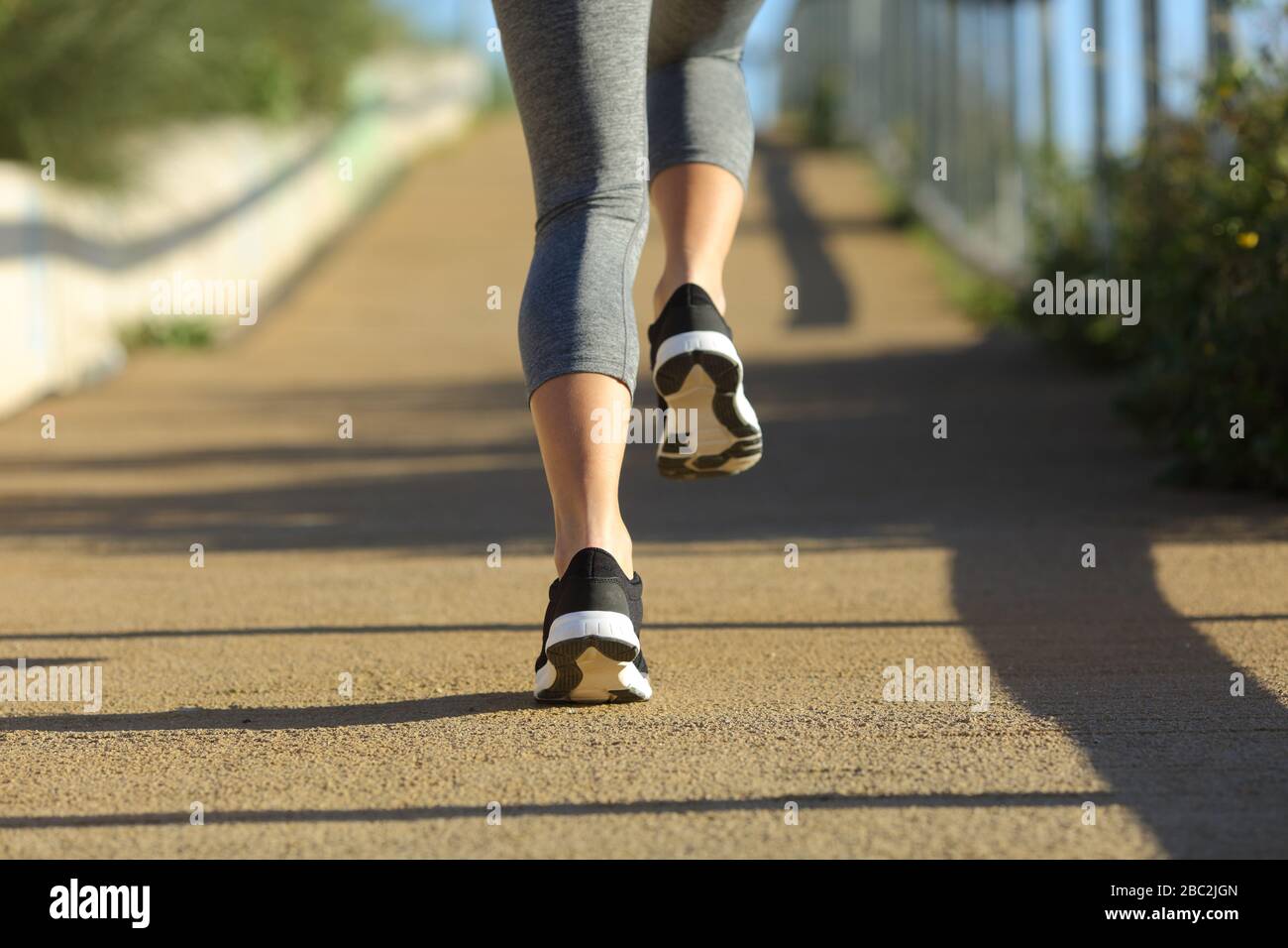 Back view of runner woman legs running in a park a sunny day Stock ...