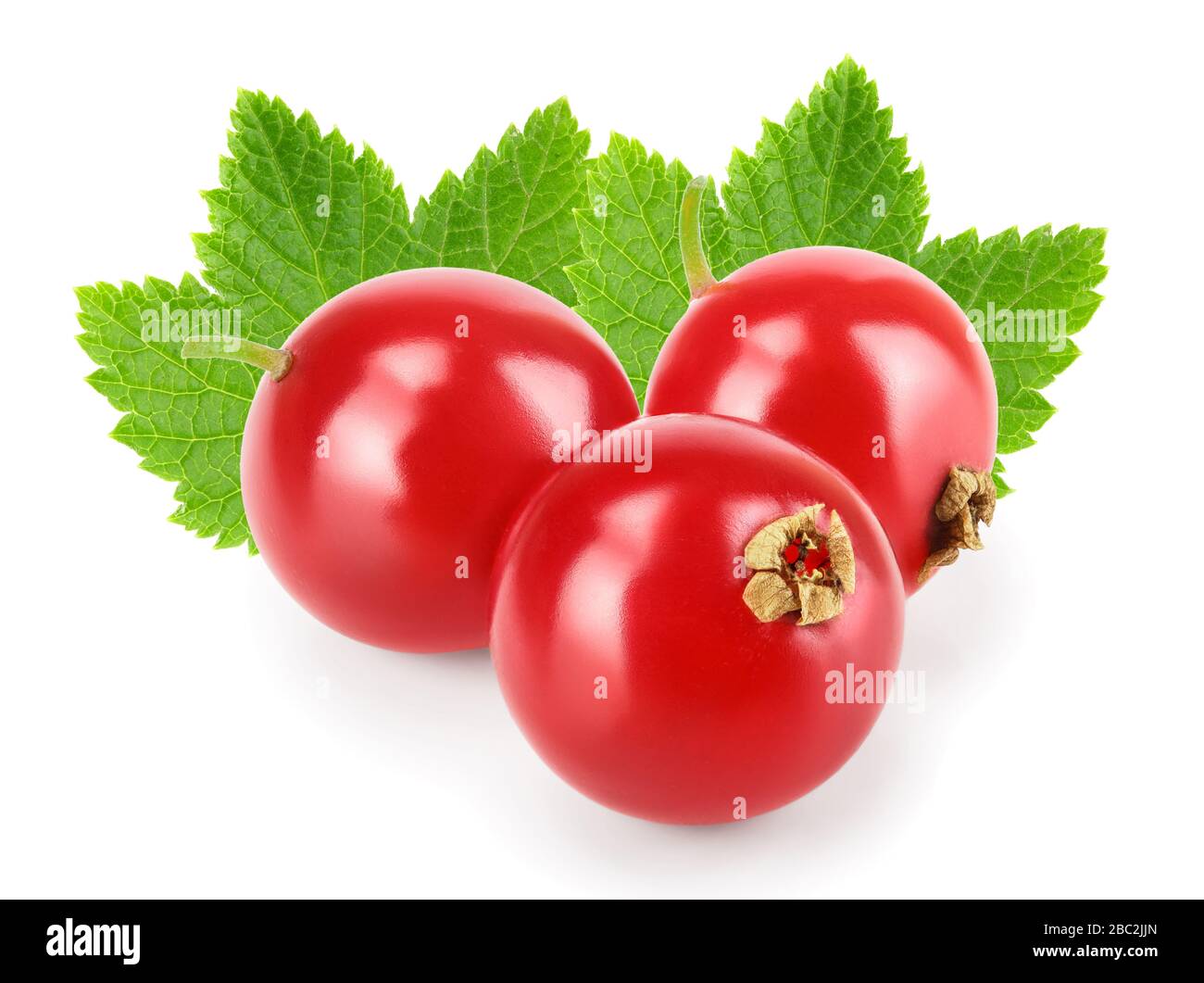 Red currant berry with leaves isolated on white background Stock Photo ...