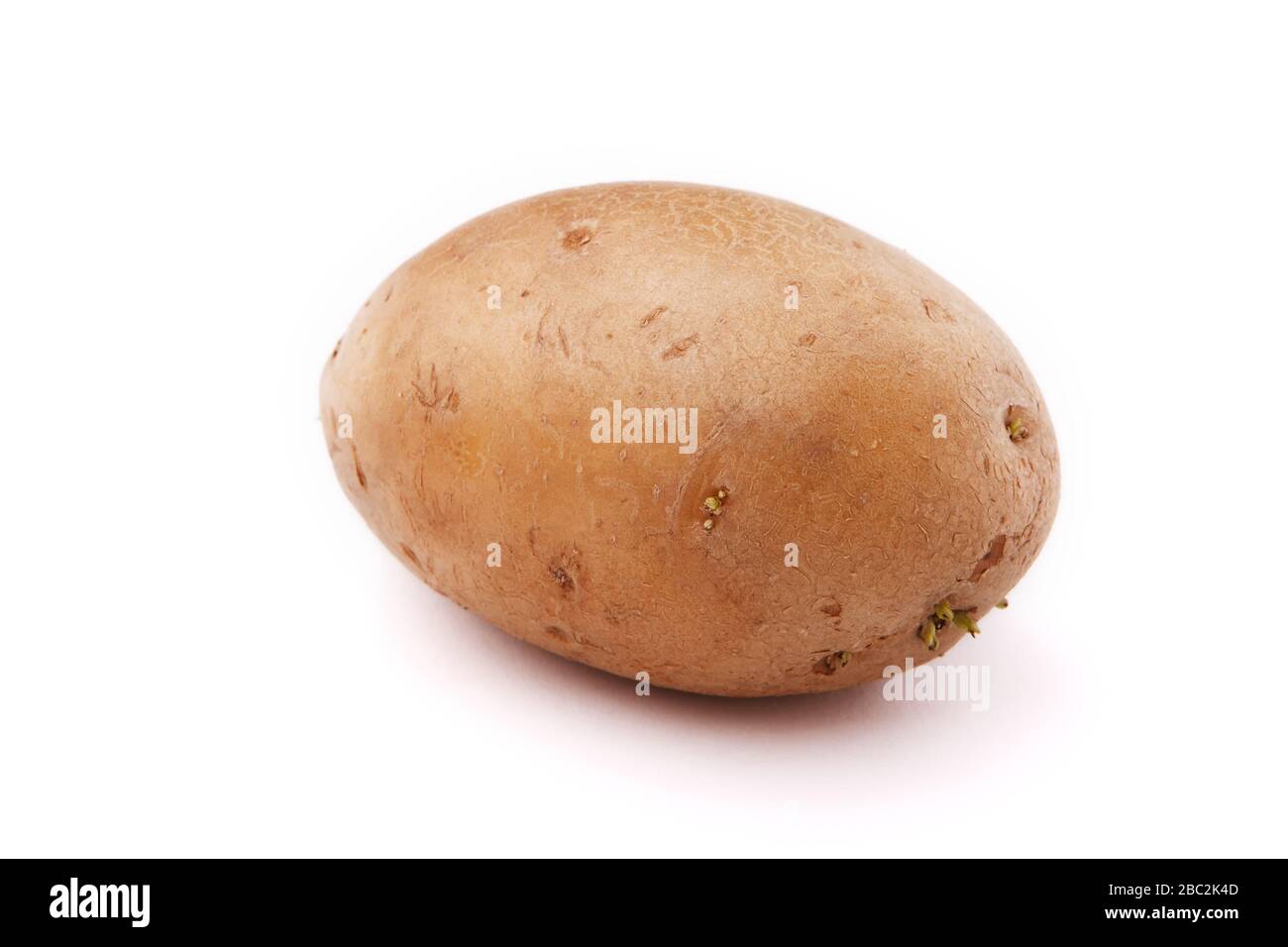 Single potato on white background Stock Photo - Alamy