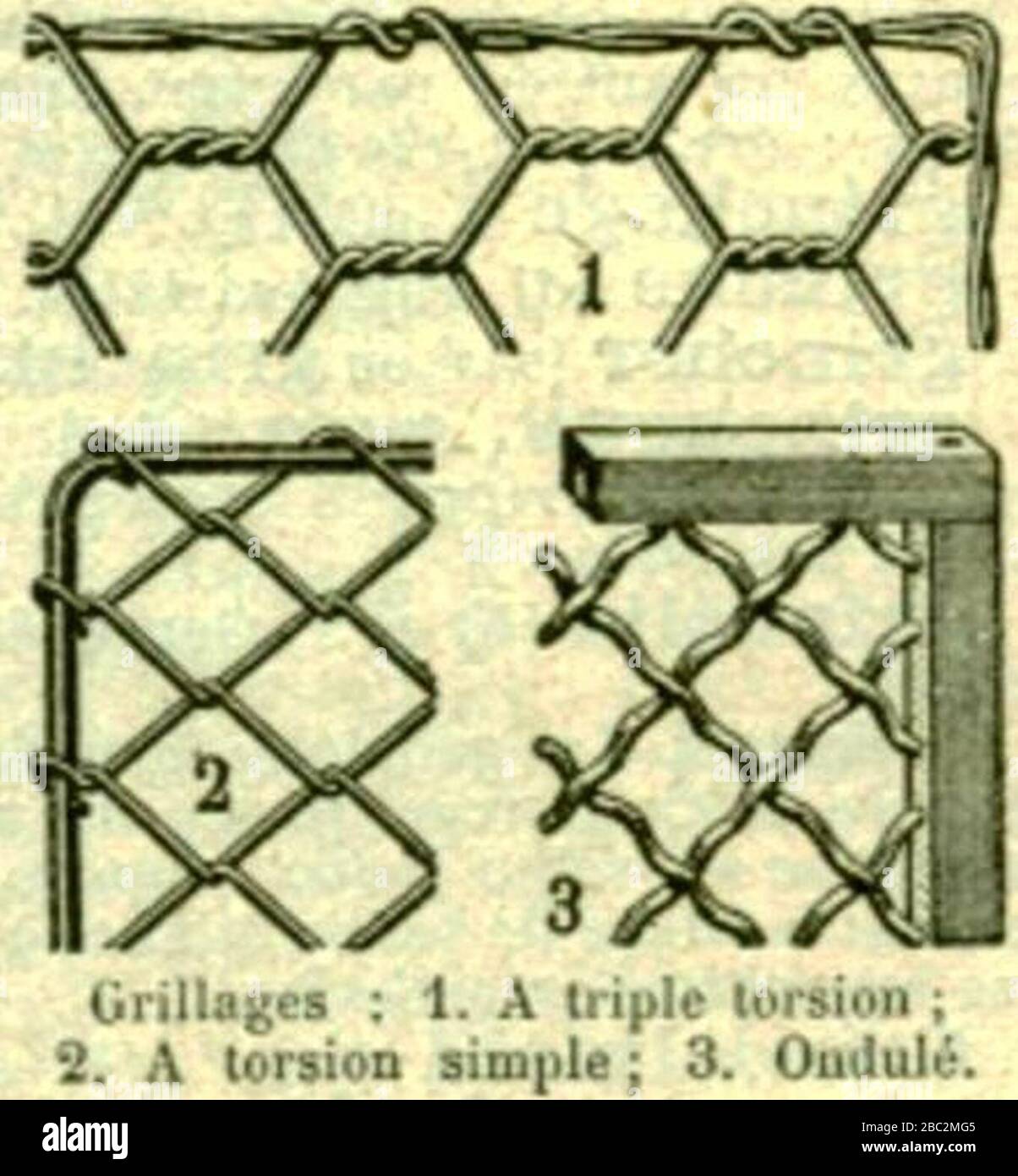 Grillage hi-res stock photography and images - Alamy