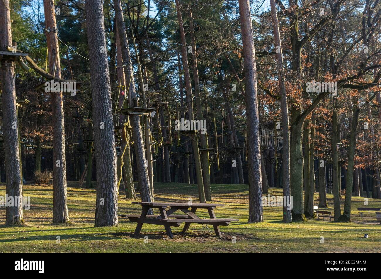 Climbing garden, high ropes course in the forest with various climbing ...