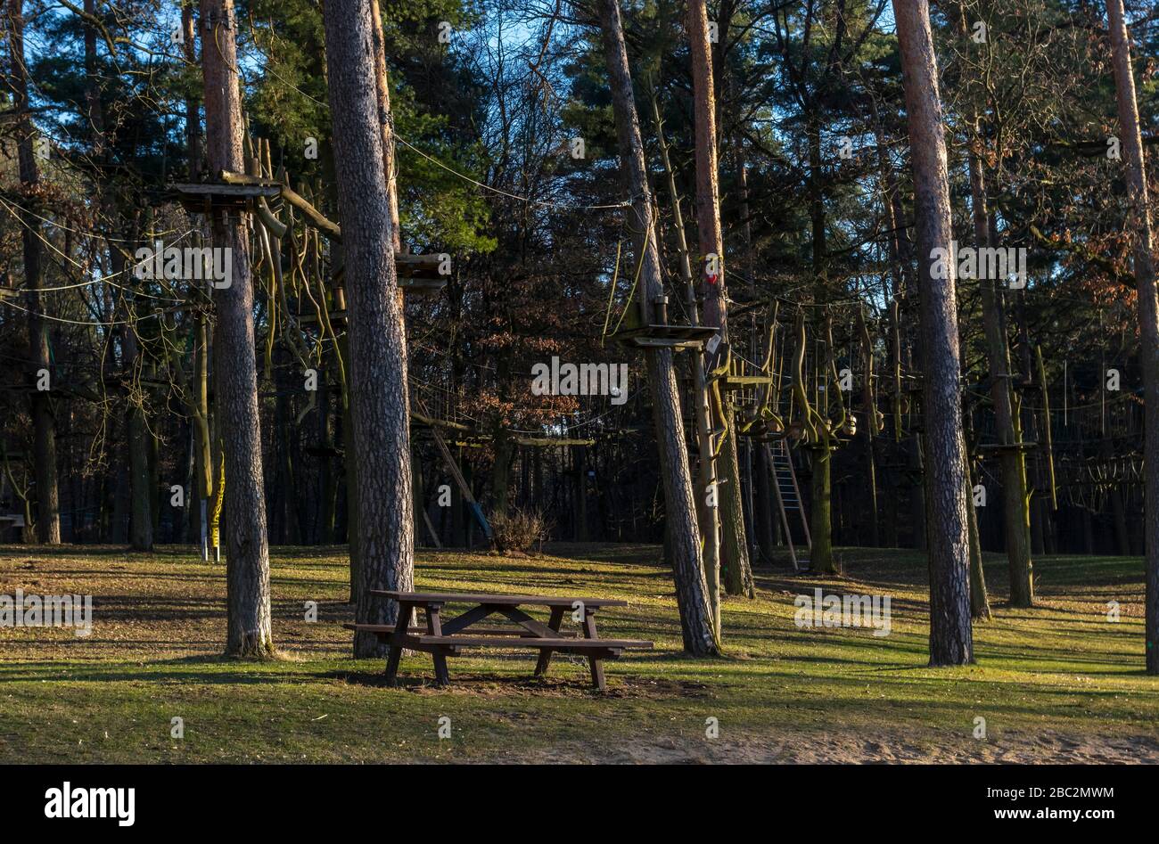 Climbing garden, high ropes course in the forest with various climbing ...