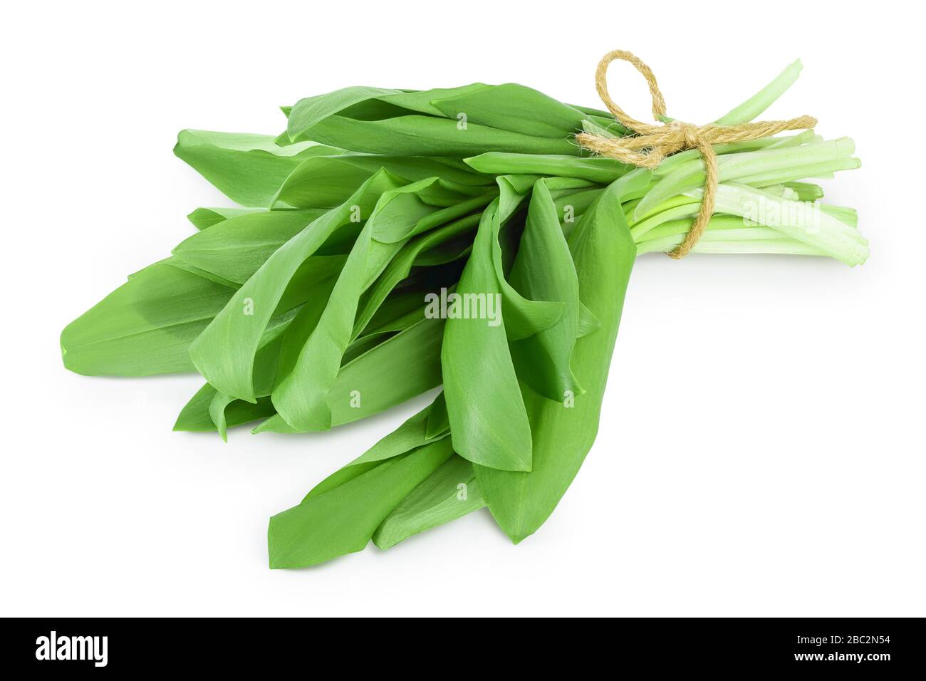 Ramson bunch vegetable isolated on white background with clipping path ...