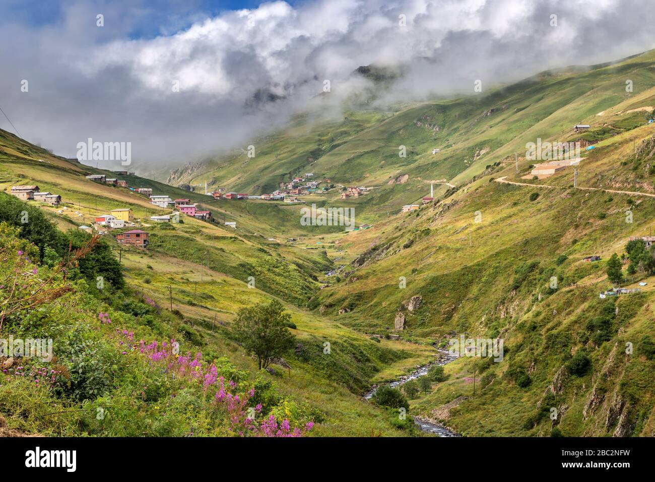Anzer Plateau in İkizdere district of Rize, where world famous Anzer ...
