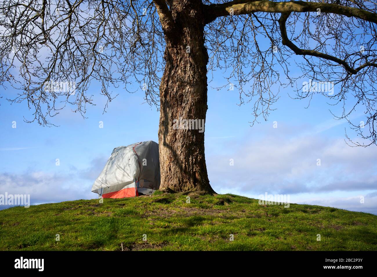 Shelter Under Tree Not Umbrella High Resolution Stock Photography and ...