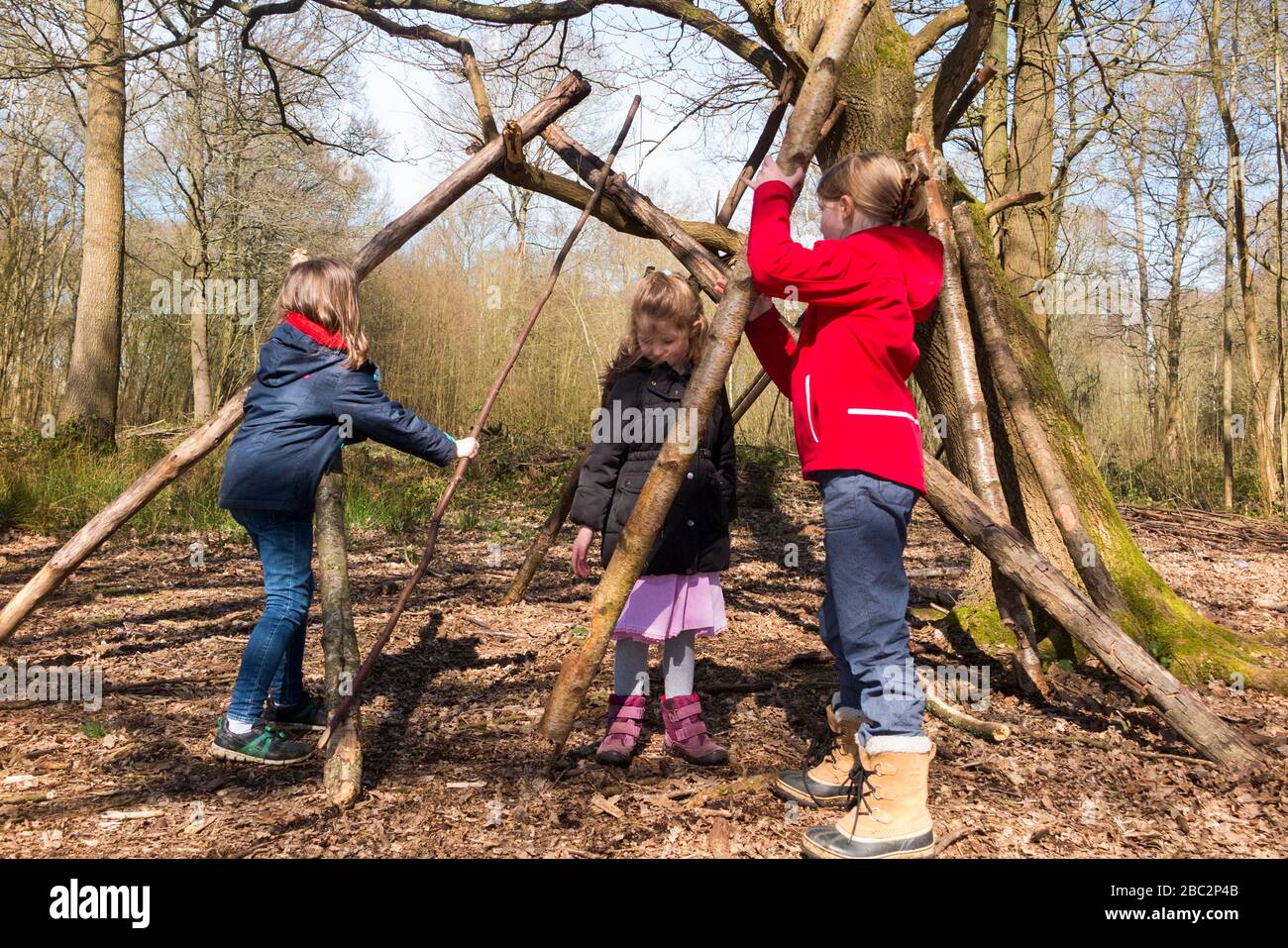 Three / kids / kid / and a wigwam stack of trees branches leant up on a ...