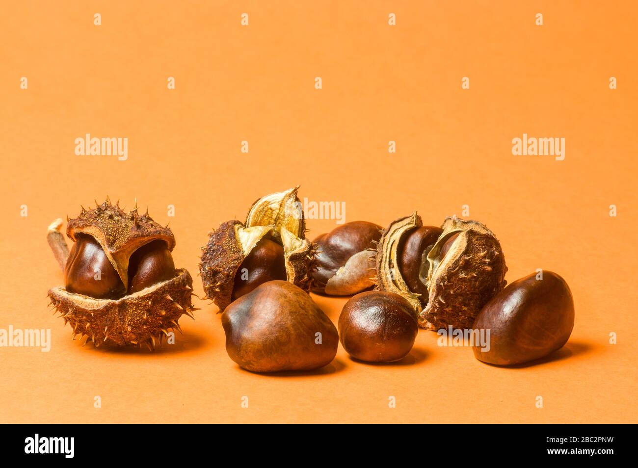 Maroon fruit hi-res stock photography and images - Alamy