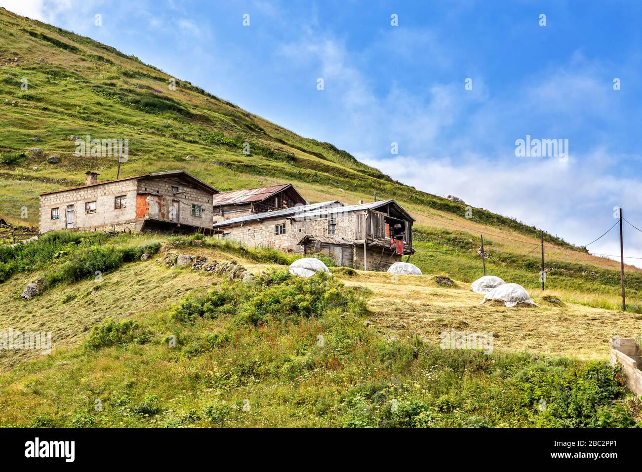 Anzer Plateau in İkizdere district of Rize, where world famous Anzer ...