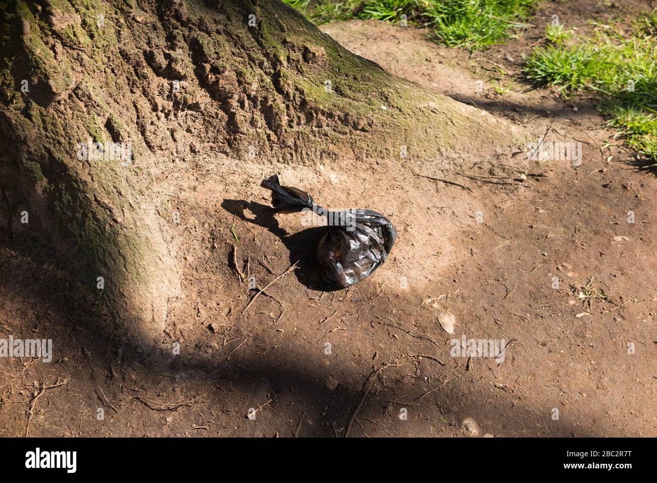 Excreta hi-res stock photography and images - Alamy