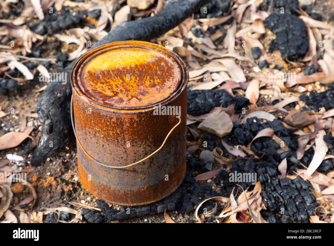 A burnt paint can in the forest from the bush fires in Australia Stock ...