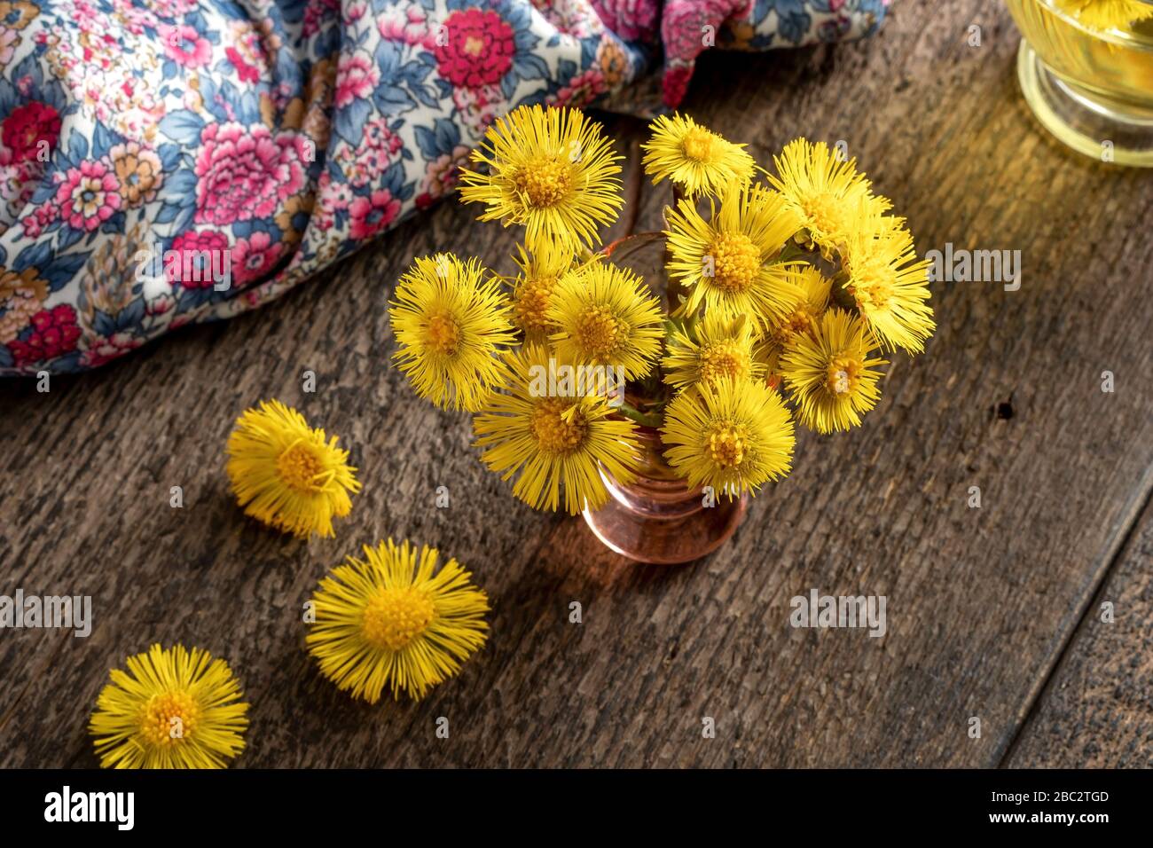 Coltsfoot edible hi-res stock photography and images - Alamy