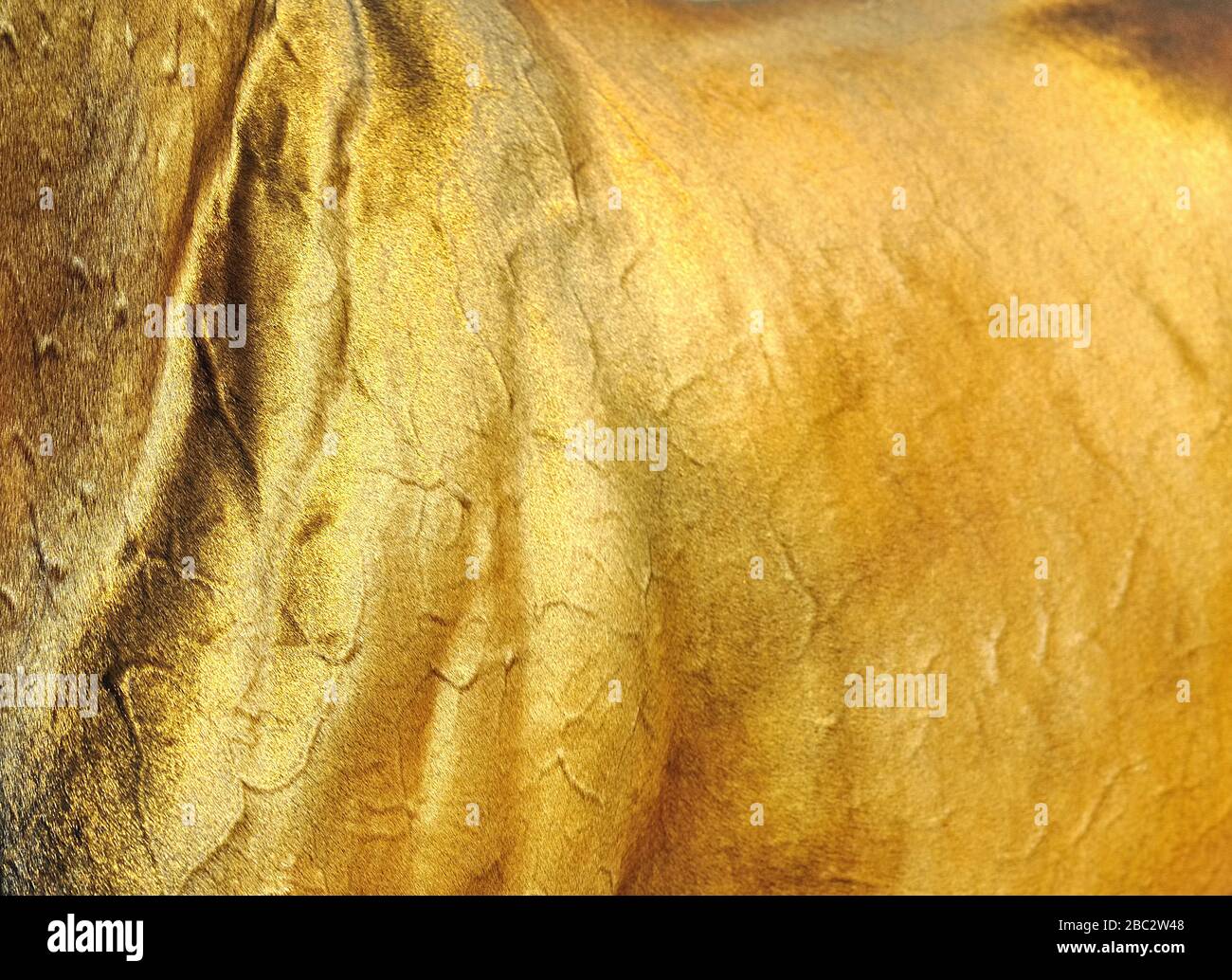 Golden brown fur texture hi-res stock photography and images - Alamy