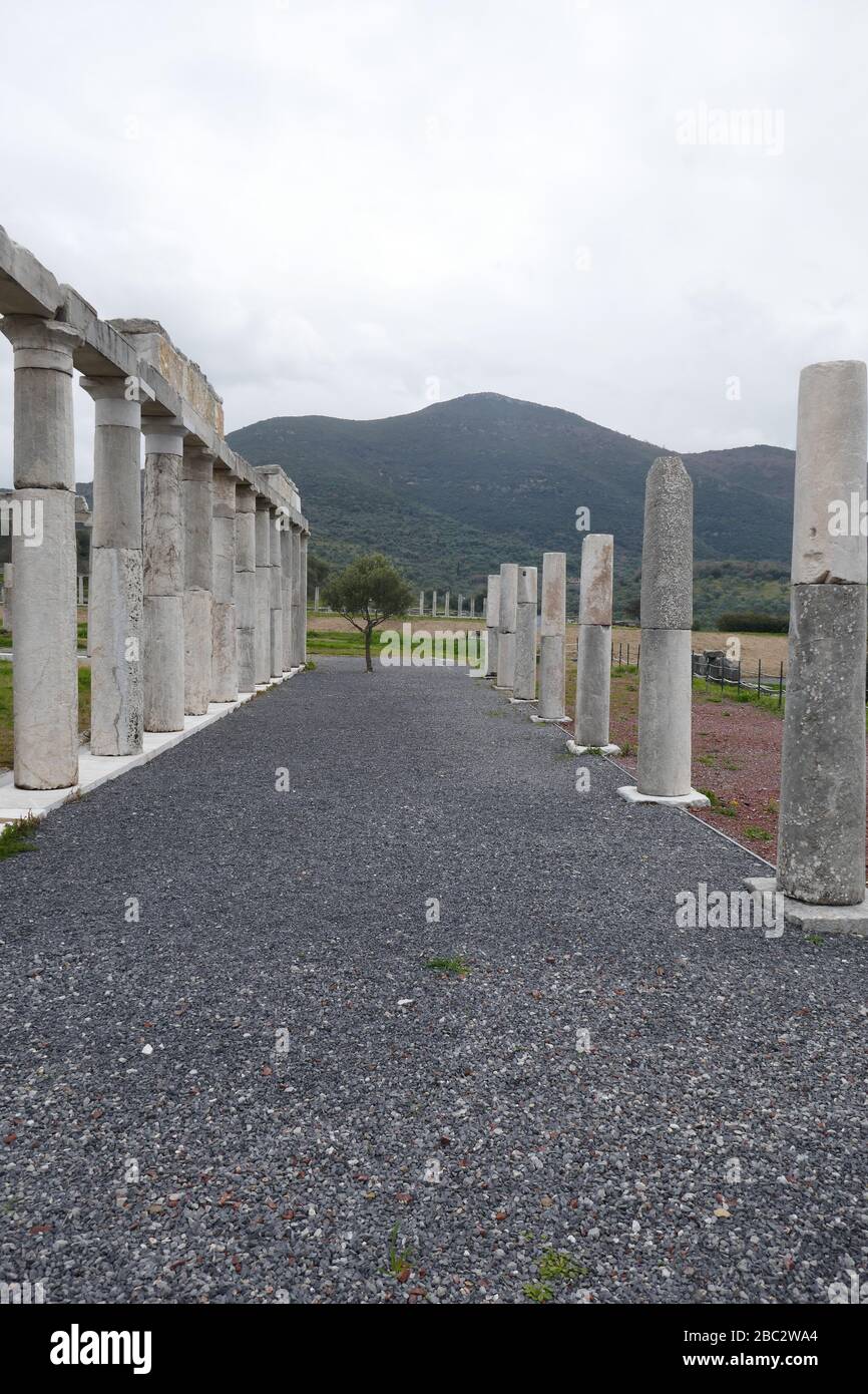 Ancient messene museum hi-res stock photography and images - Alamy