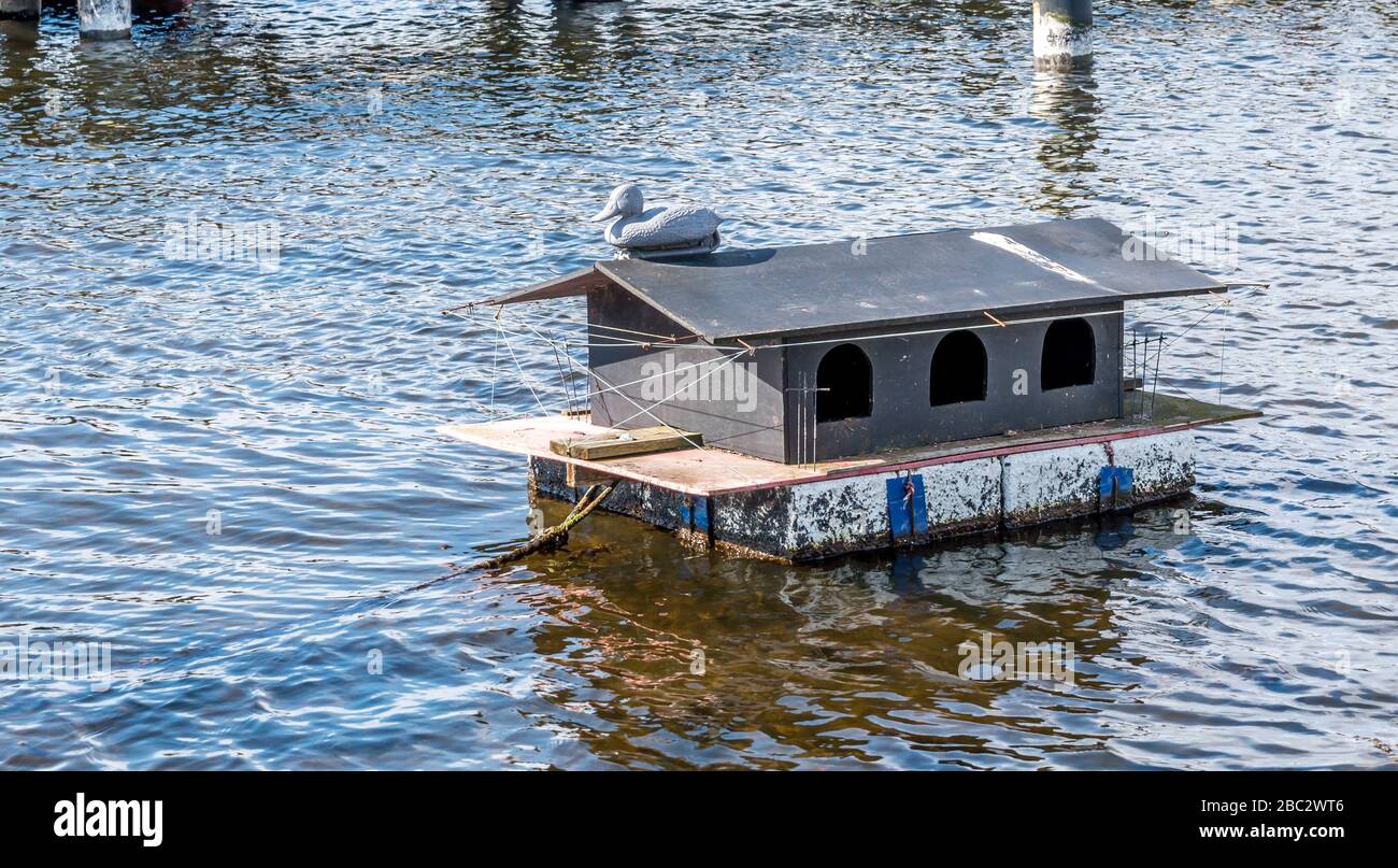 Floating duck house hi-res stock photography and images - Alamy