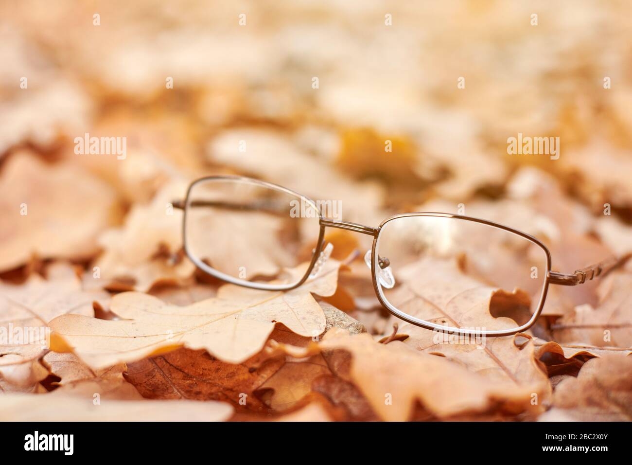 Glasses on autumn foliage. Autumn vision loss concept. Vitamin ...