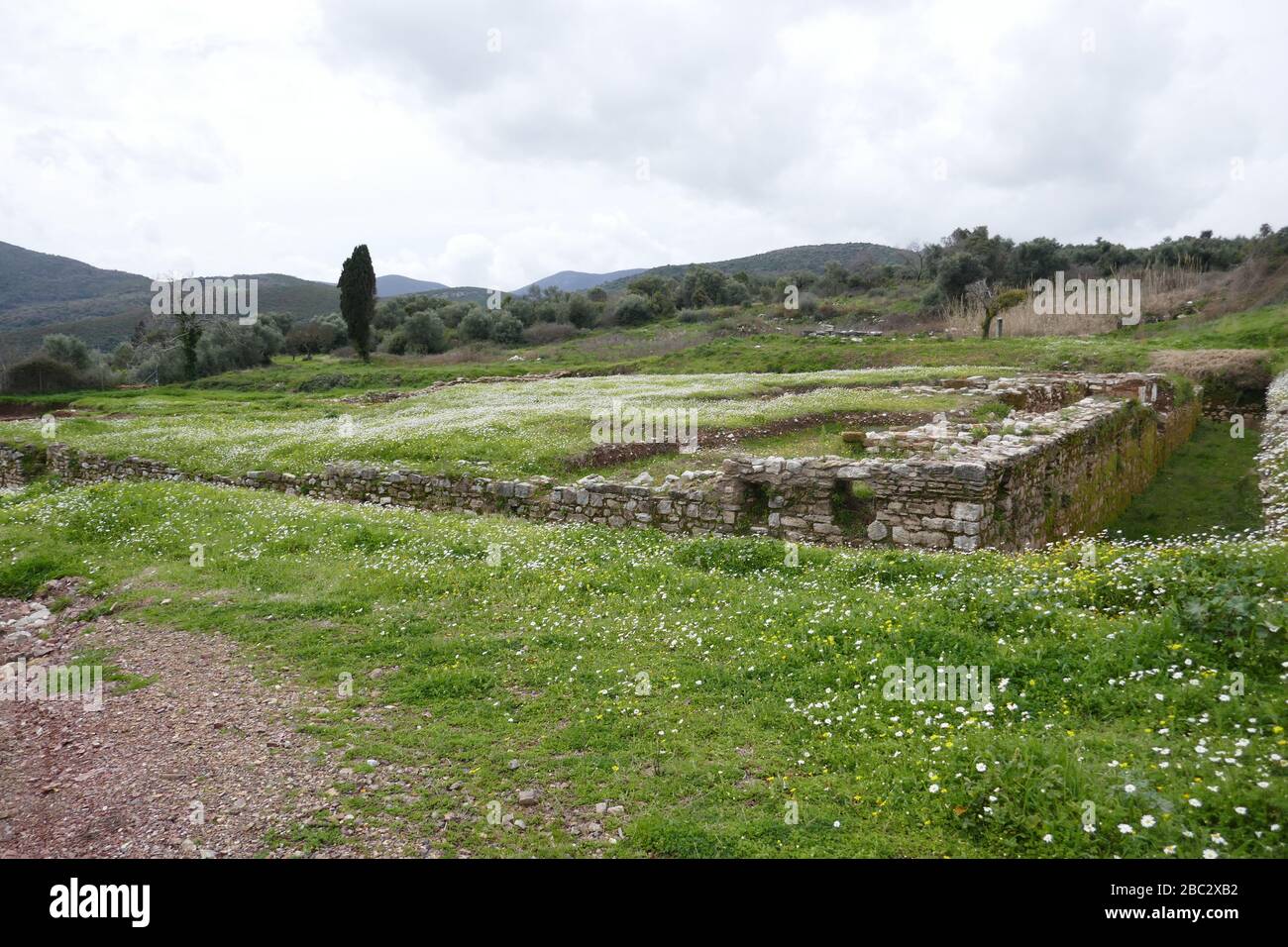 Messene Archaeological Site Stock Photo - Alamy