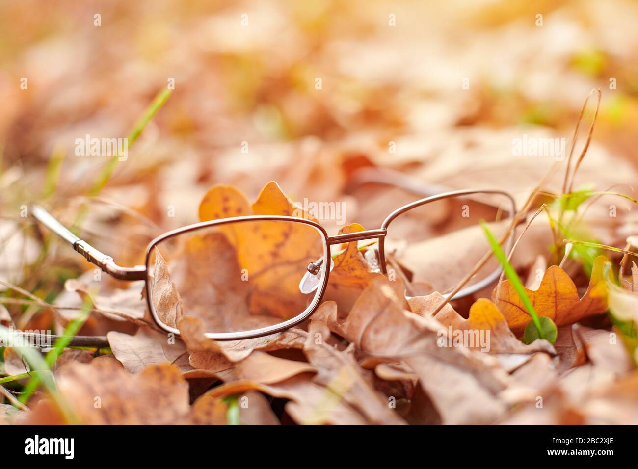 Glasses on autumn foliage. Autumn vision loss concept. Vitamin ...