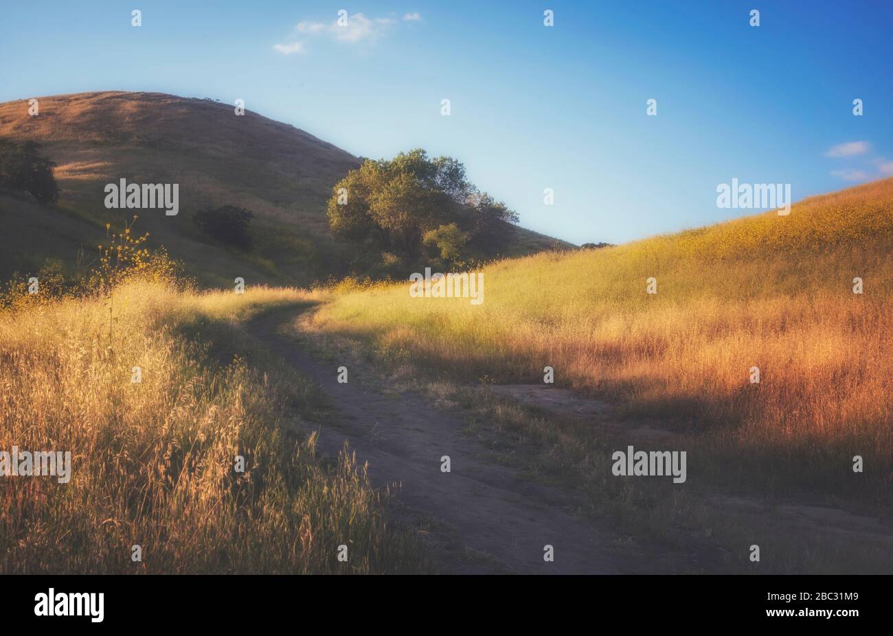 Shell Ridge Open Space Stock Photo - Alamy