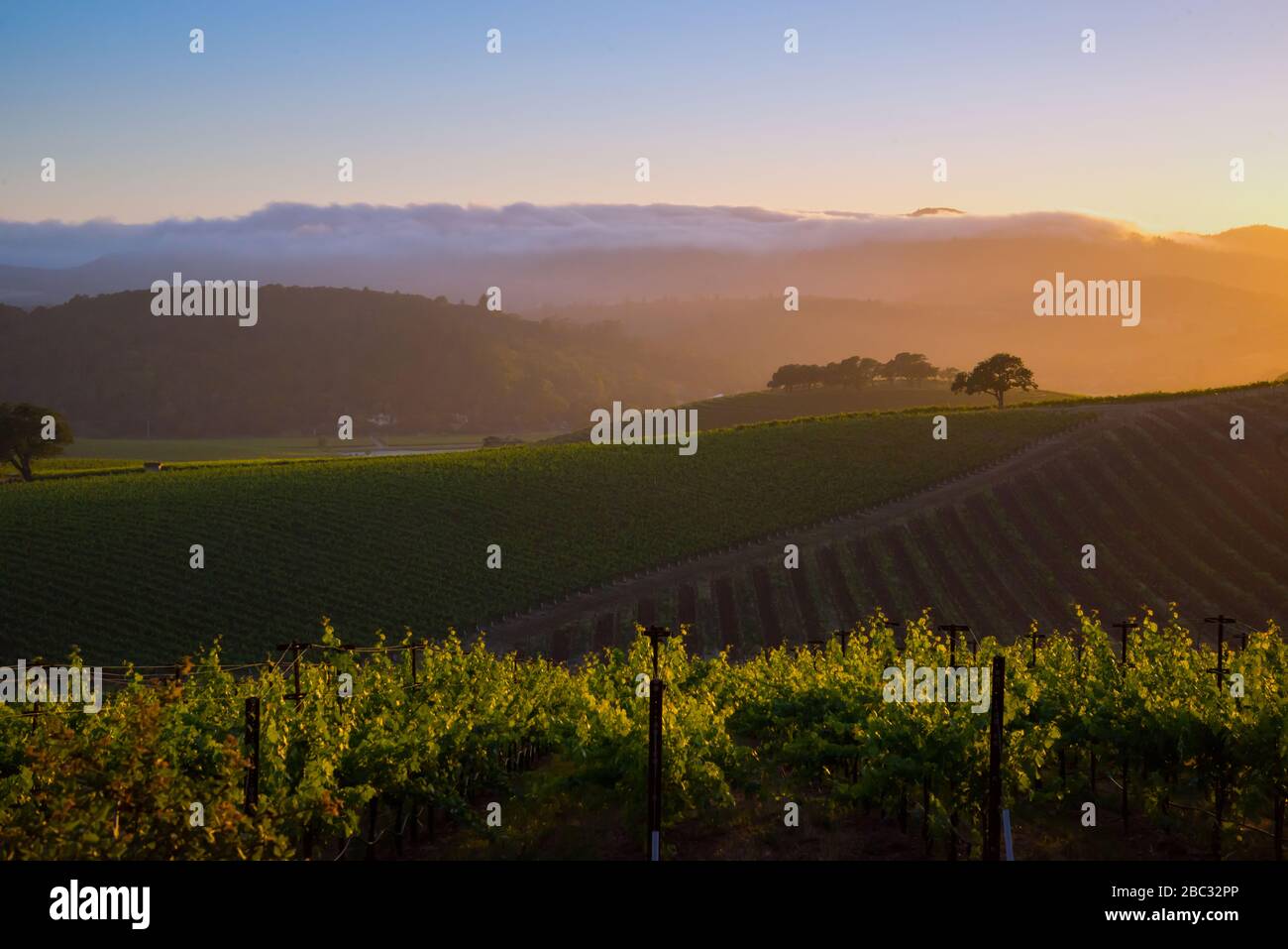 Napa valley scenic hi-res stock photography and images - Alamy