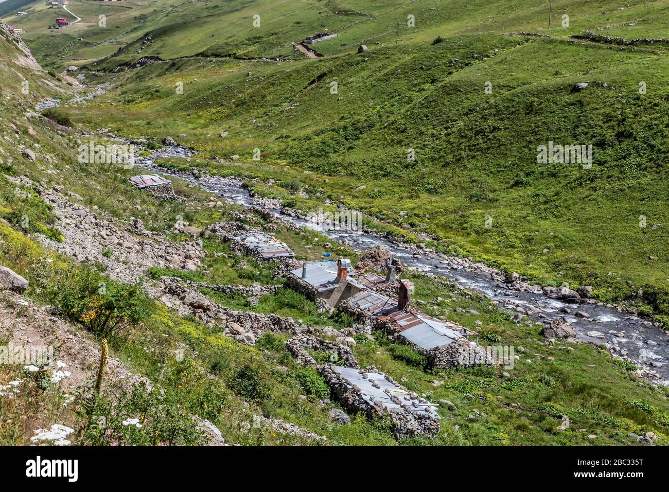 Anzer Plateau in İkizdere district of Rize, where world famous Anzer ...
