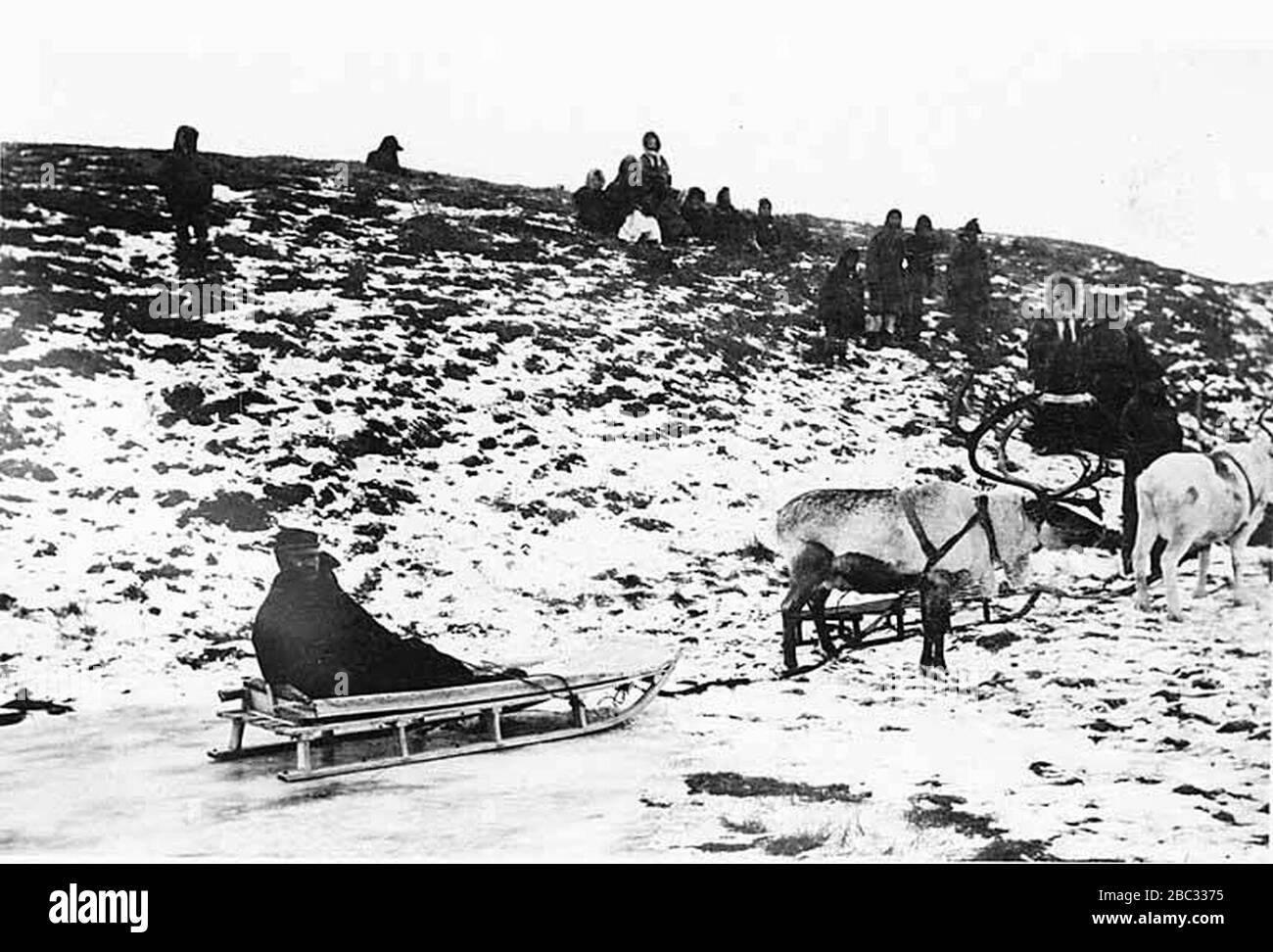Group of Native Americans one seated on sled pulled by reindeer ...