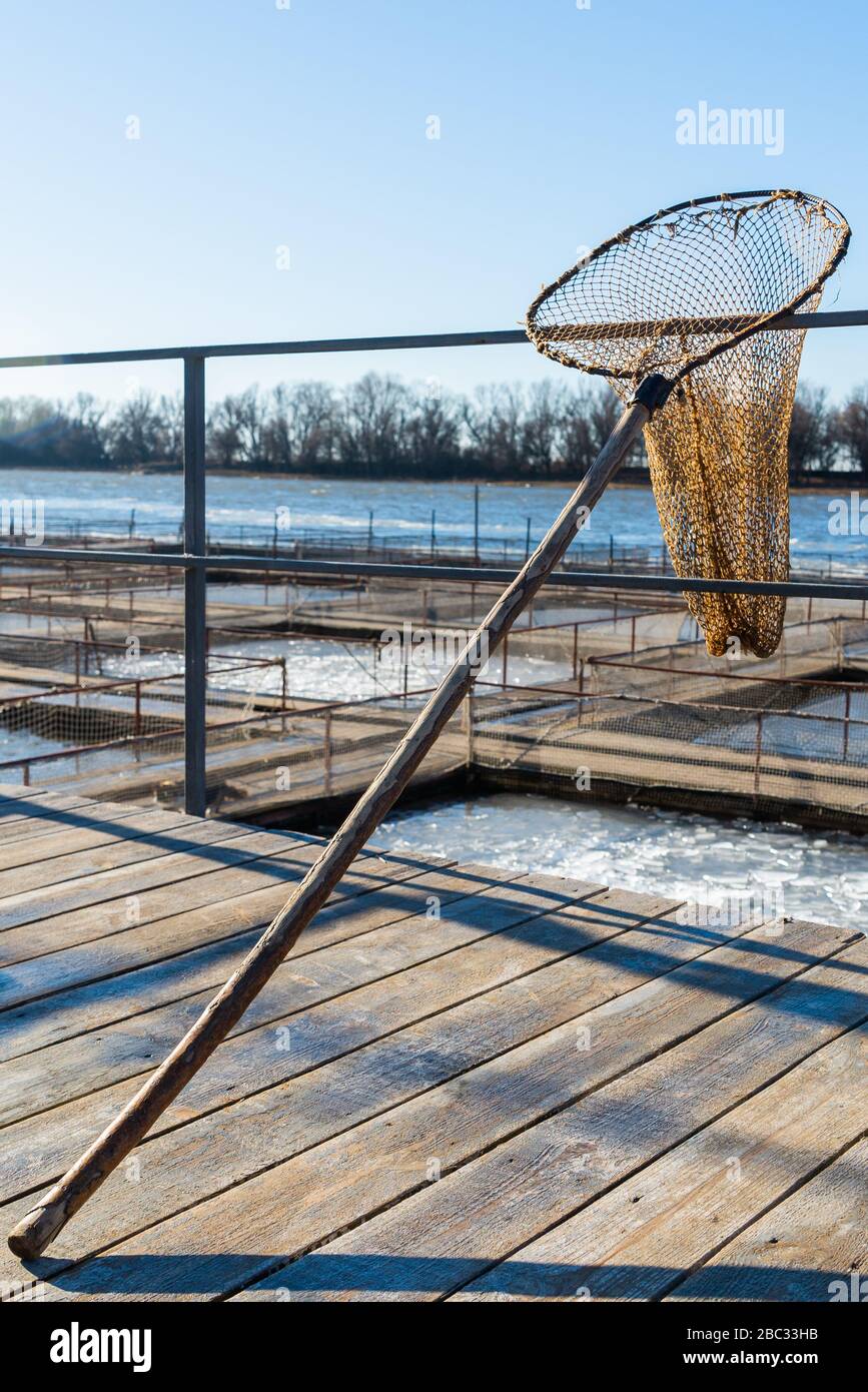 Scooping sea water hi-res stock photography and images - Alamy