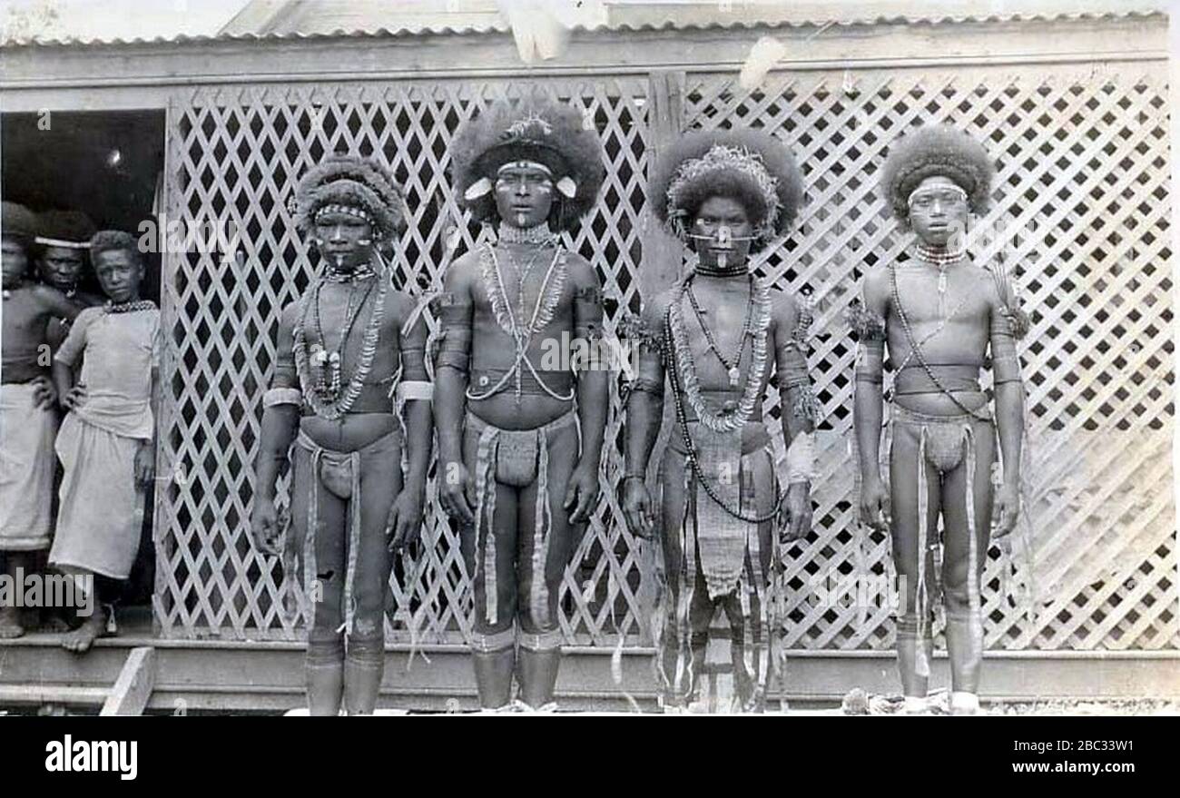 Group of warriors in ceremonial attire British New Guinea Stock Photo ...