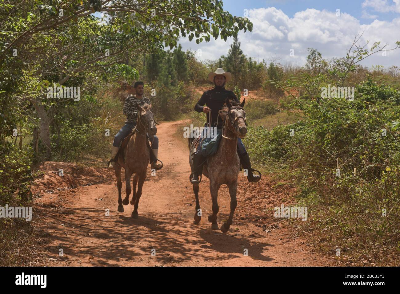 Guajiro cowboys riding in the Valley of Viñales, Cuba Stock Photo - Alamy