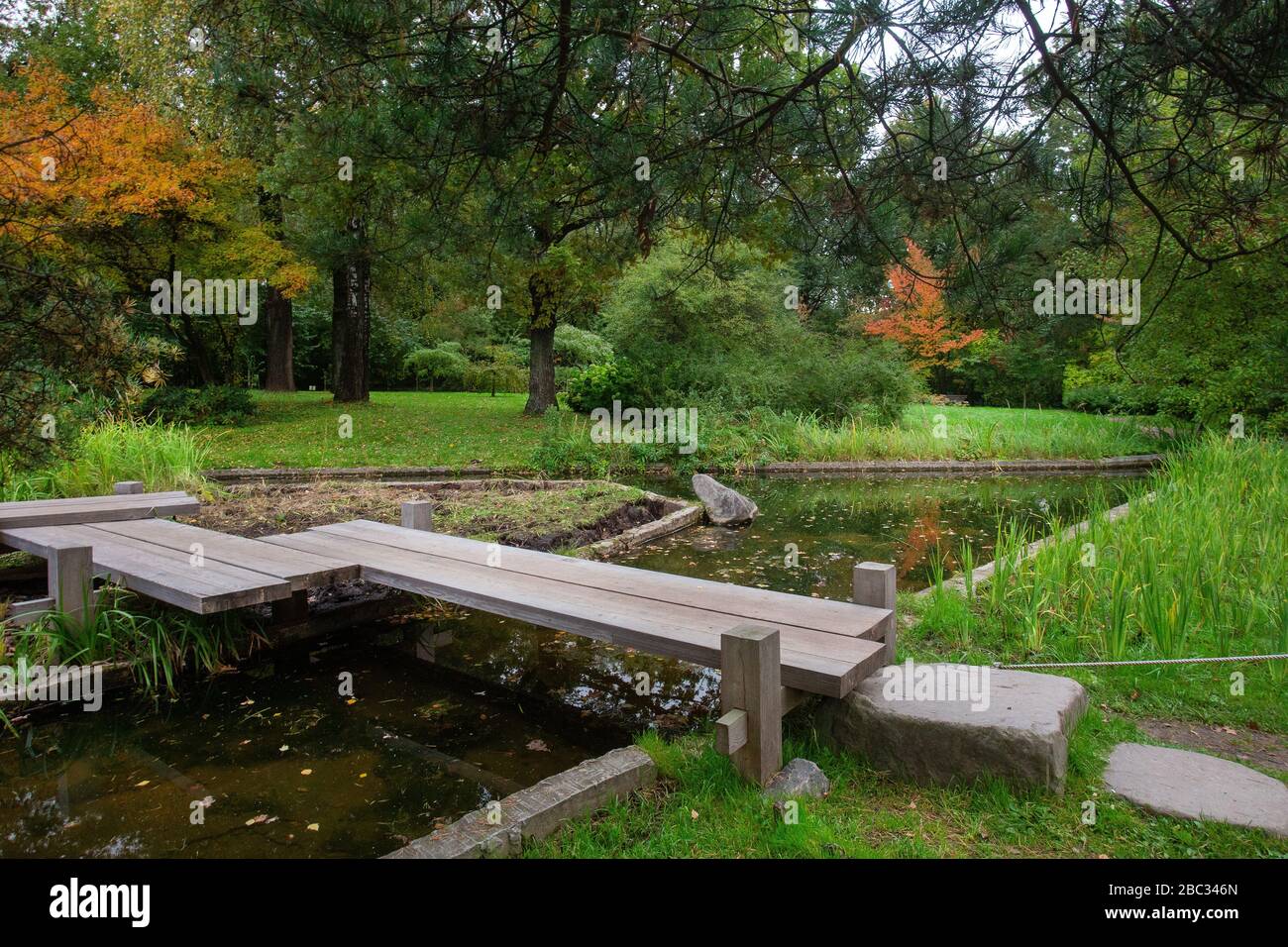 Awe nature in japanese garden at autumn. . Wooden footpath under stream ...