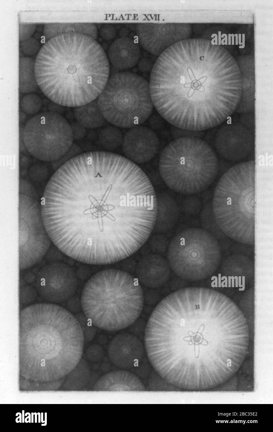 Groups of stars Stock Photo - Alamy