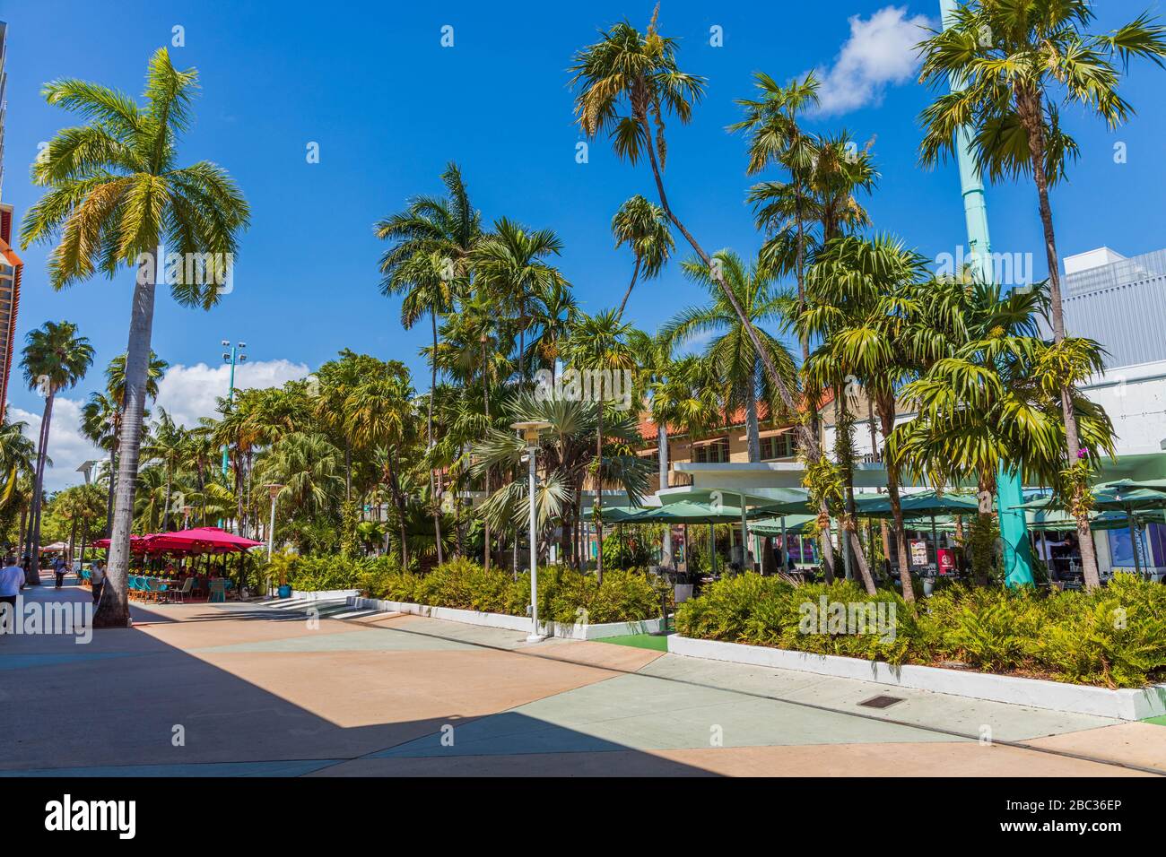 Landscape view of street of Miami. Colorful buildings on blue sky with ...