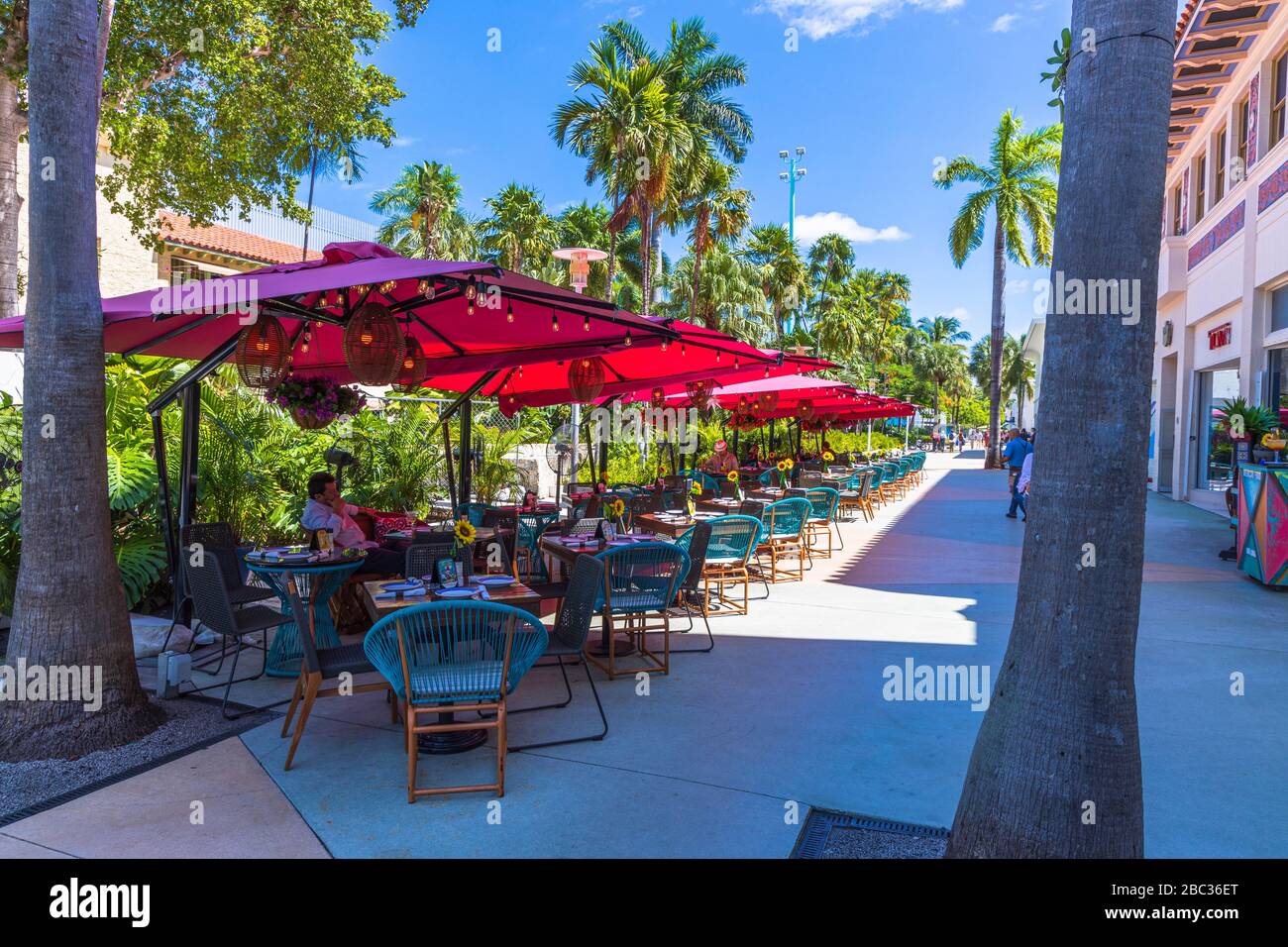 Cafe under trees hi-res stock photography and images - Alamy