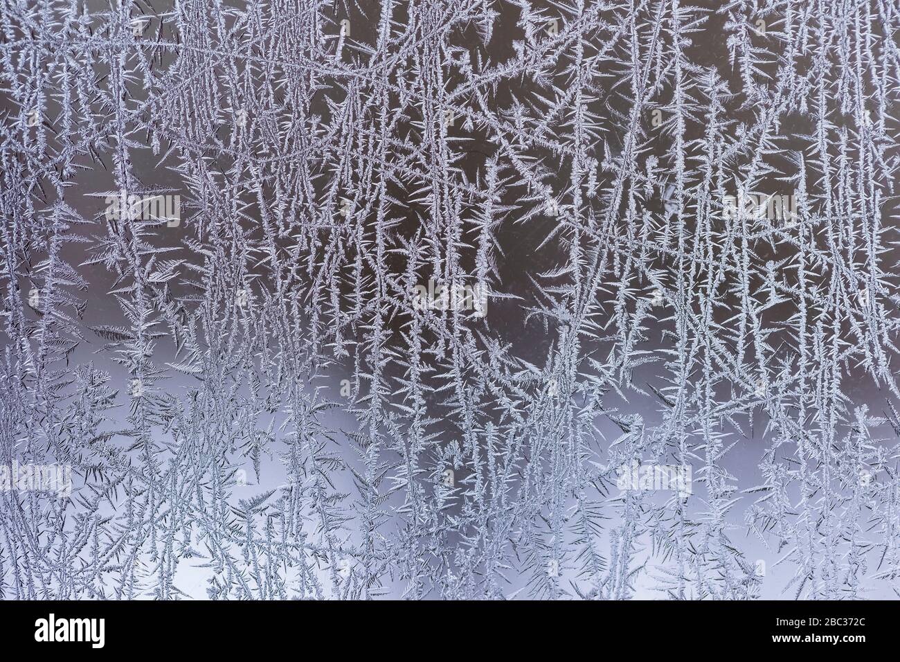 Frost figures hi-res stock photography and images - Alamy