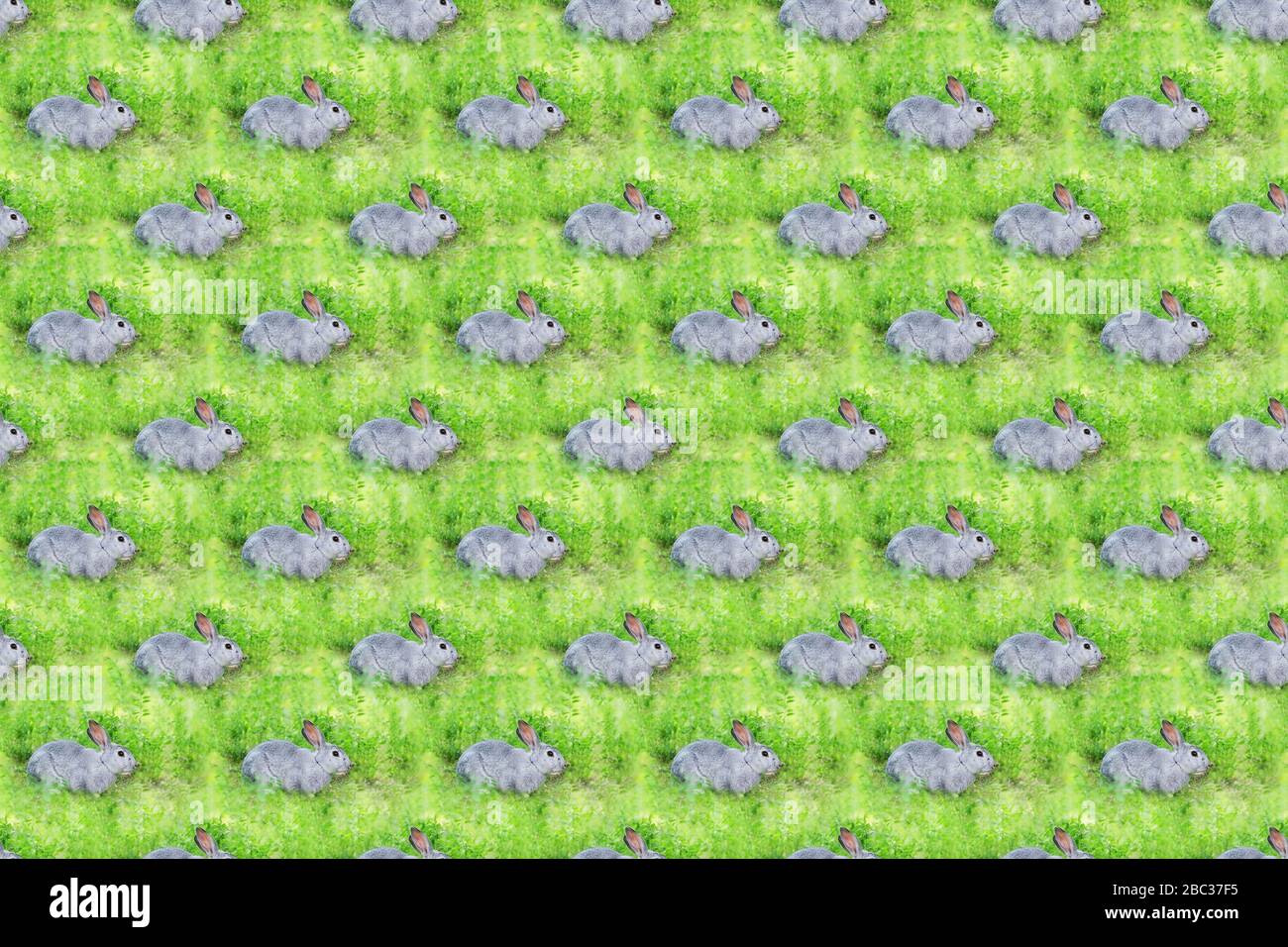 Background with green grass and grey rabbits Stock Photo - Alamy
