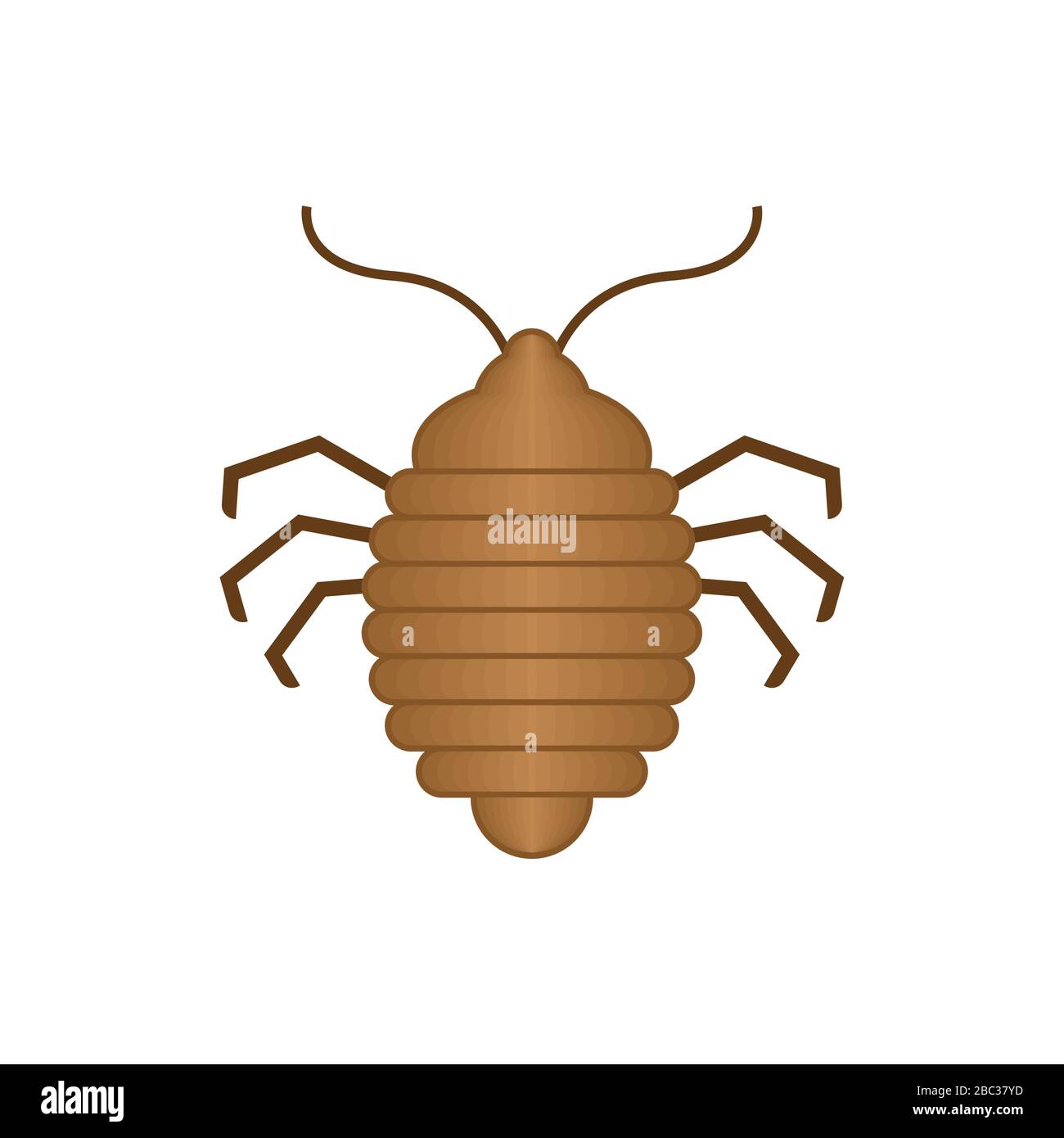 Bed bug isolated. bedbug. chinch vector illustration Stock Vector Image ...