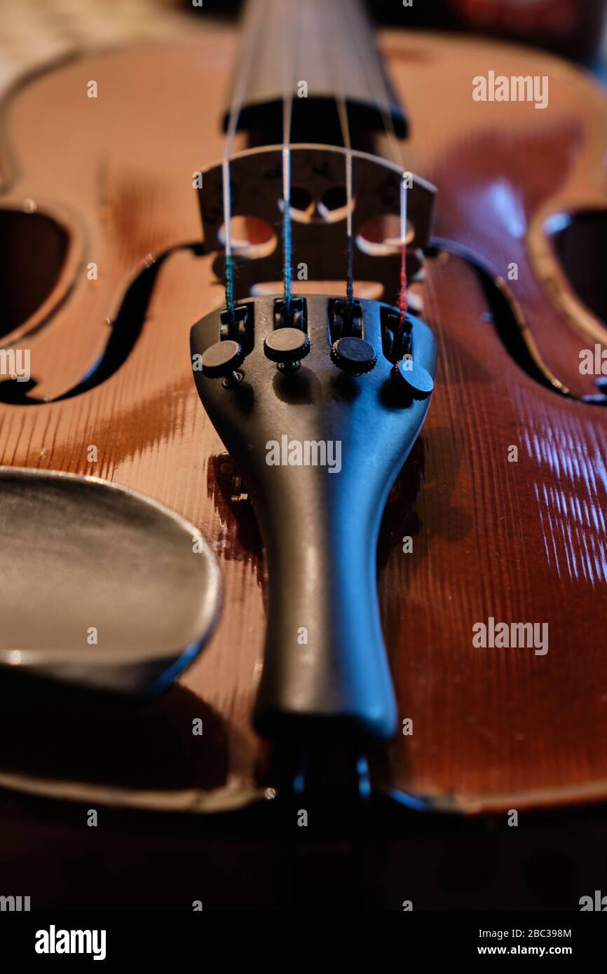 Close up of a violin showing the texture of the wooden body and strings ...