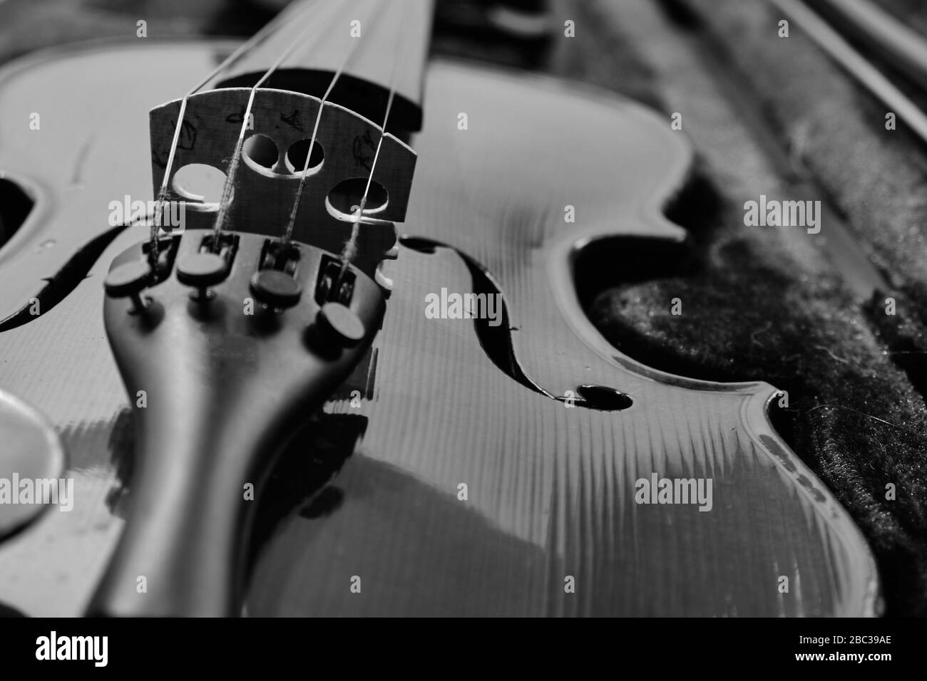 Close up of a violin showing the texture of the wooden body and strings ...