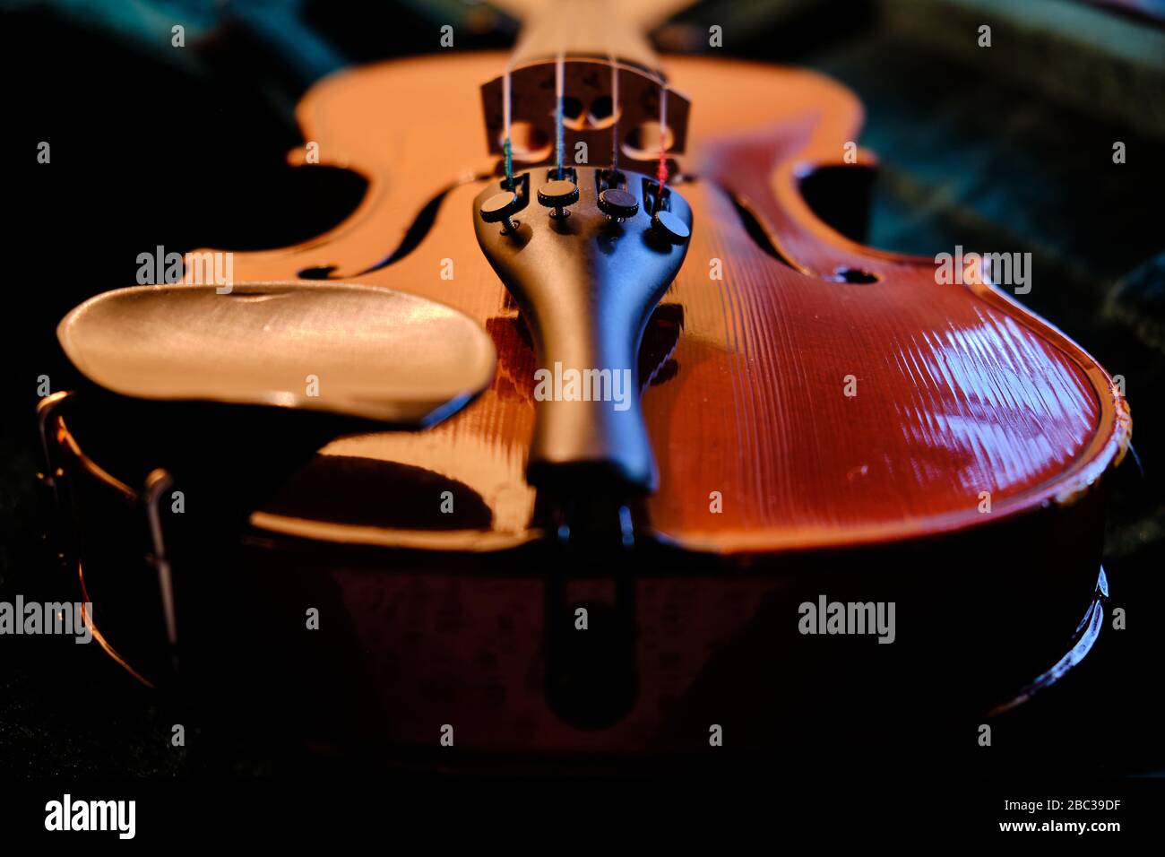 Close up of a violin showing the texture of the wooden body and strings ...