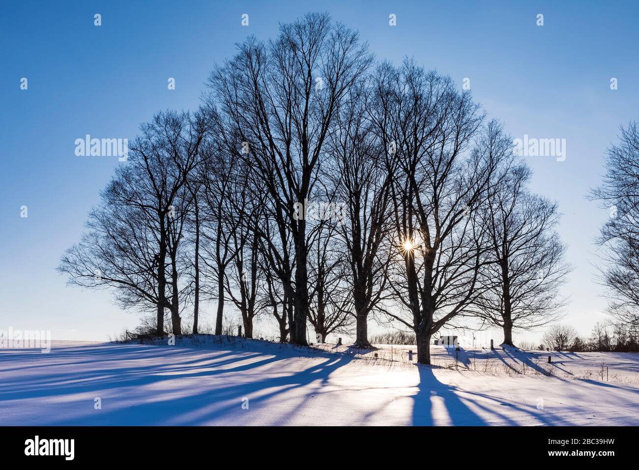 Late afternoon shadows hi-res stock photography and images - Alamy