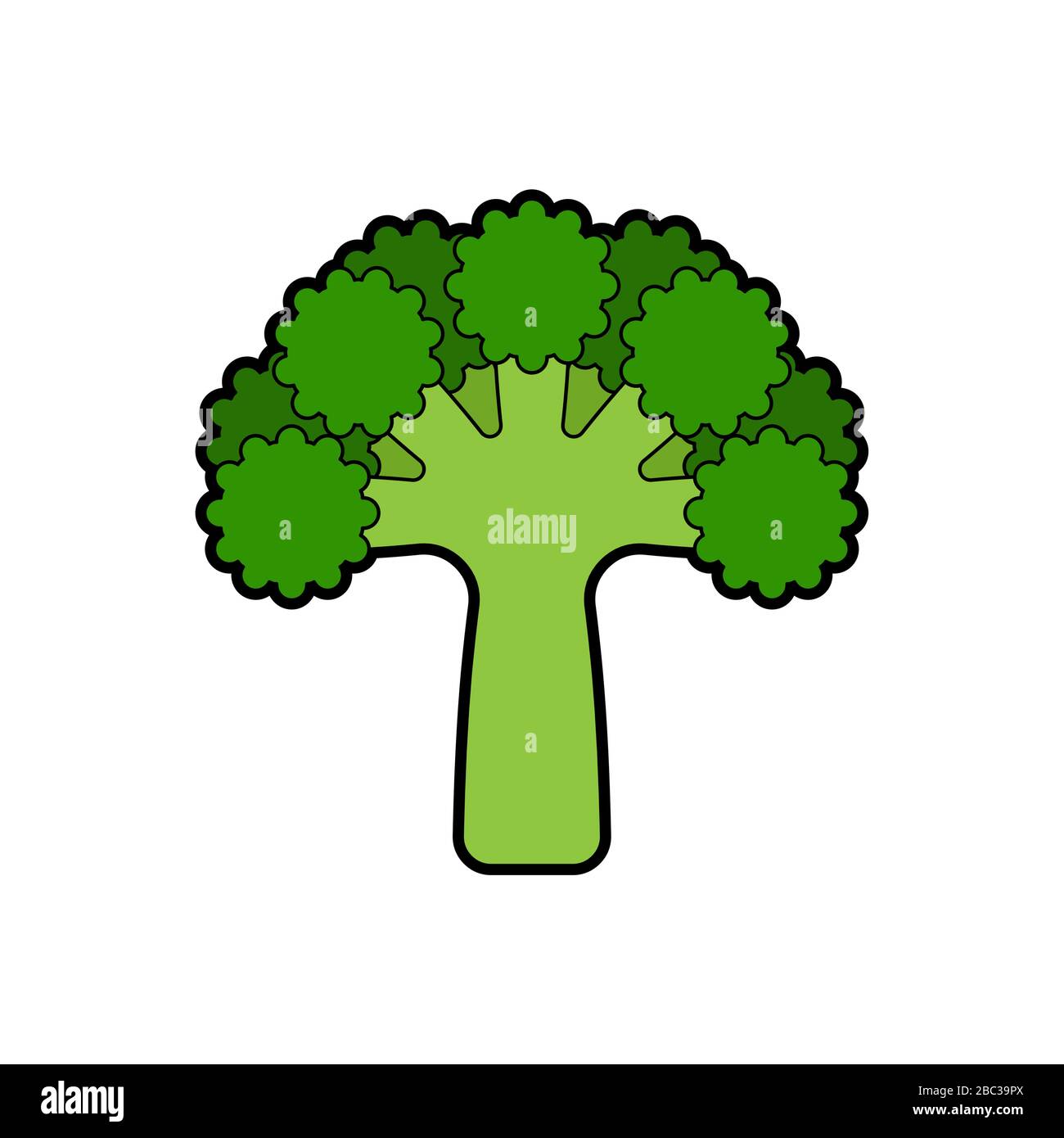 Broccoli isolated. Cartoon Vegetable. Food vector illustration Stock ...
