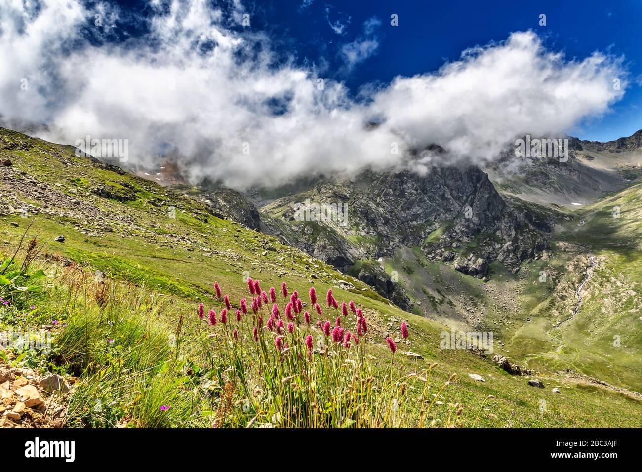 Anzer rize hi-res stock photography and images - Alamy