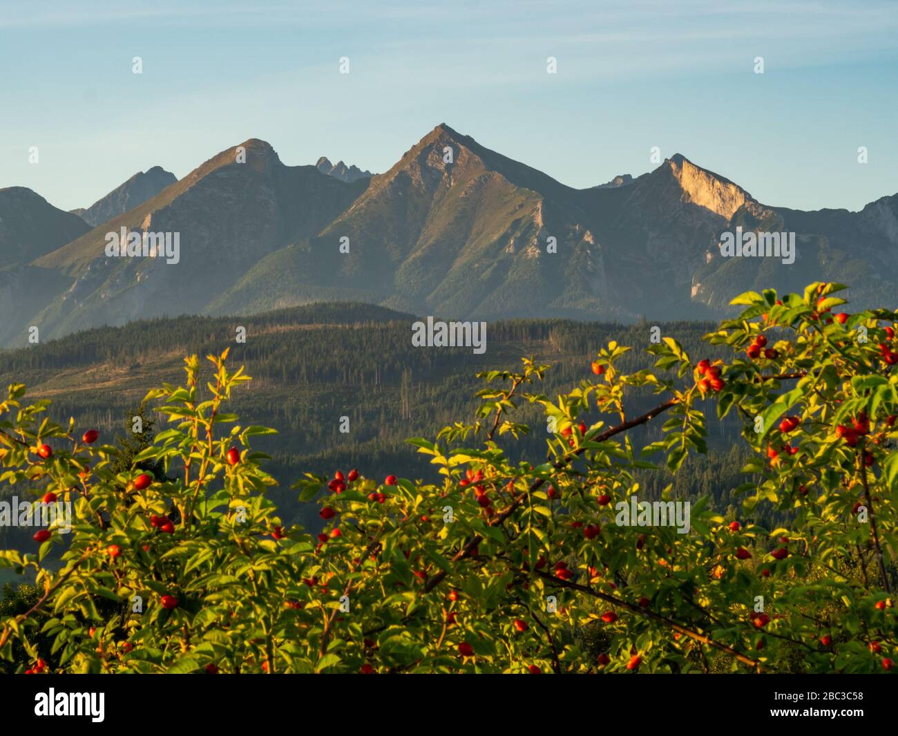View over Tatra Mountains from Lapszanka pass, during the sunrise ...