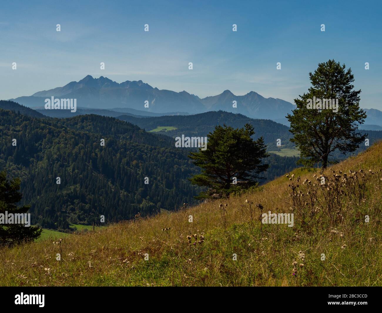 Beautiful summer panorama over Spisz highland to Tatra mountains ...